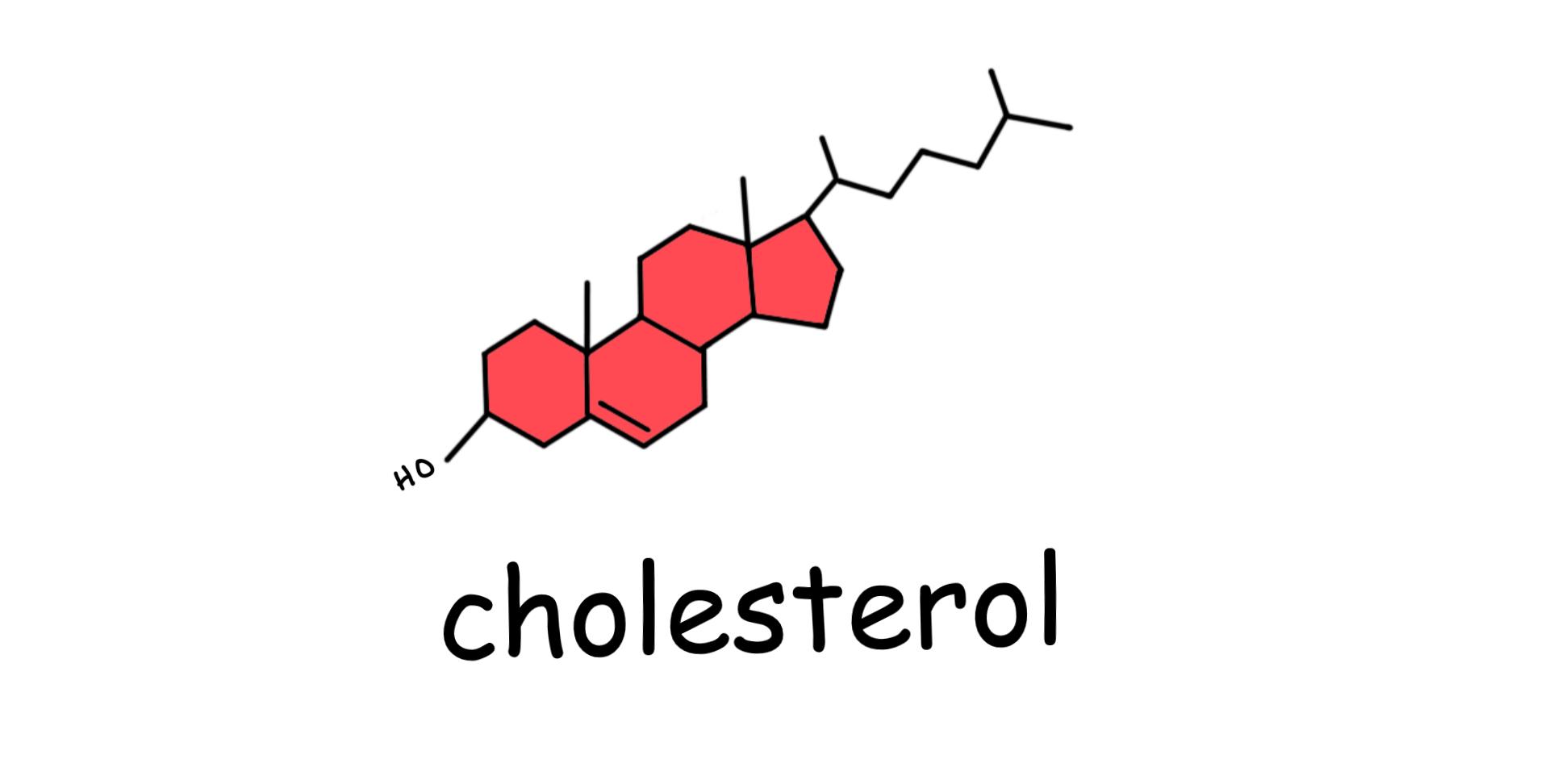 Chemical Structure Of Lipids — Overview And Types Expii