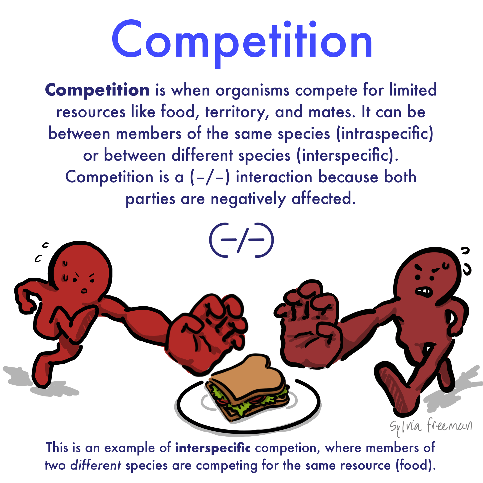 Interspecific Competition Examples