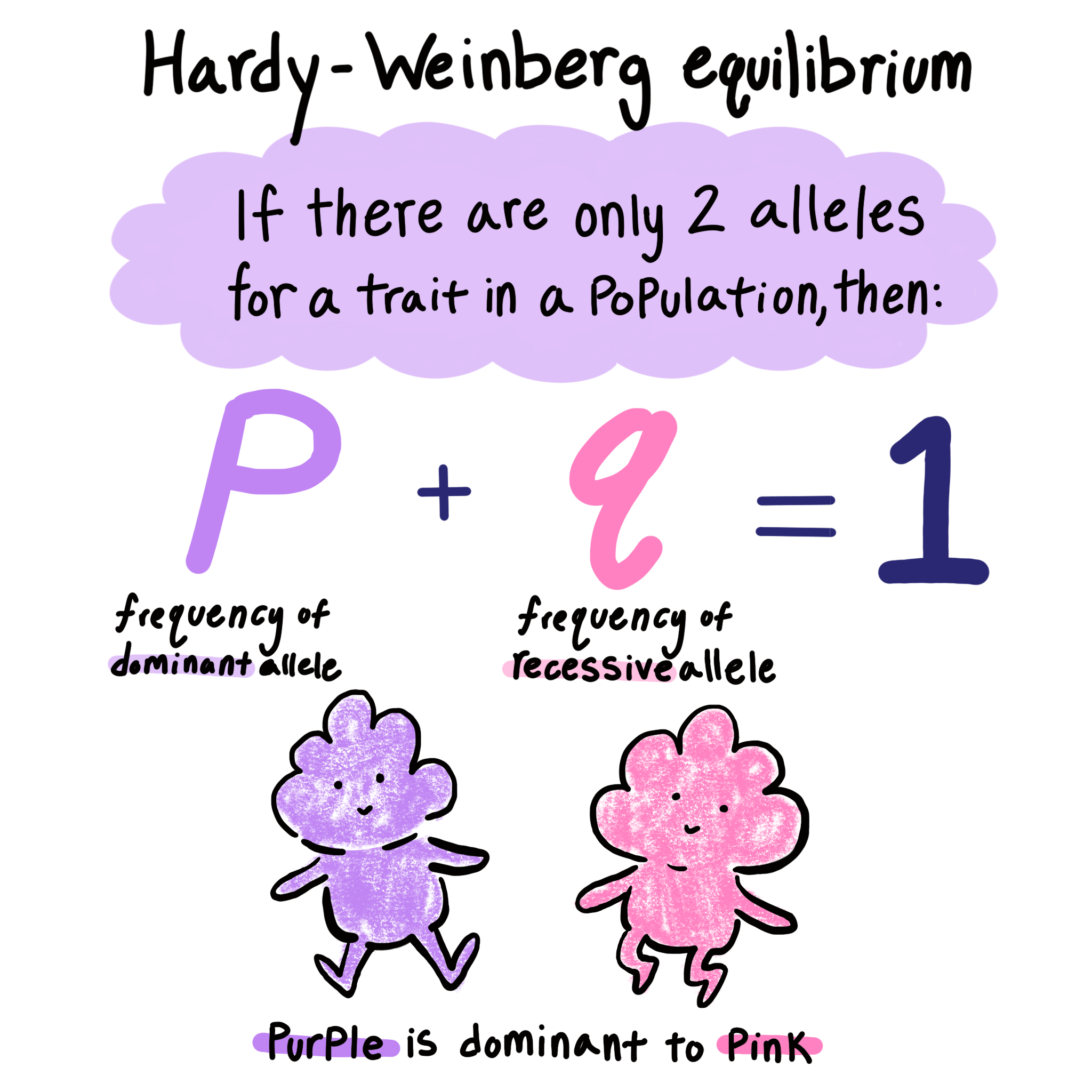 Hardy Weinberg Principle — Overview And Equation Expii