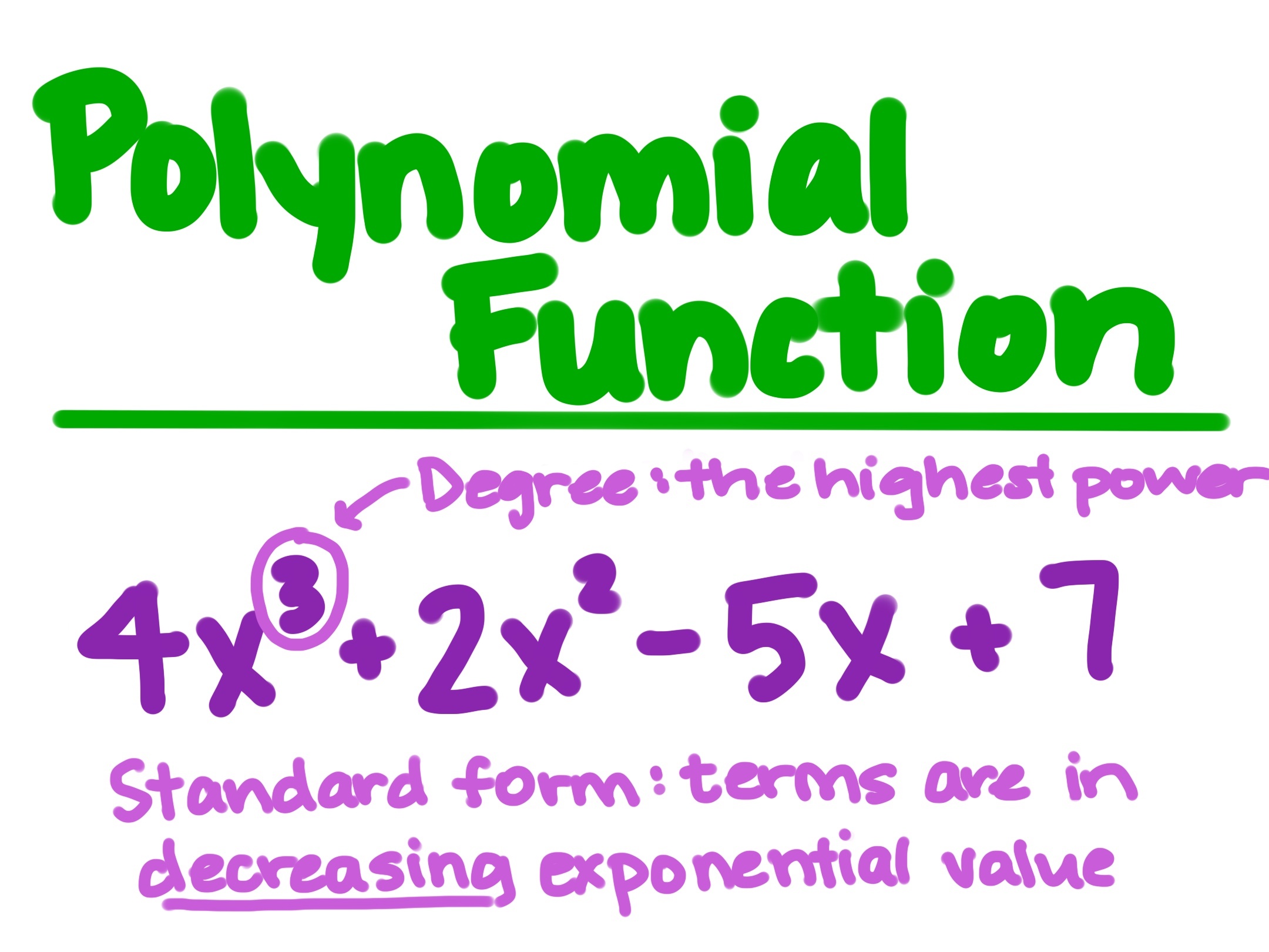 Polynomial Function