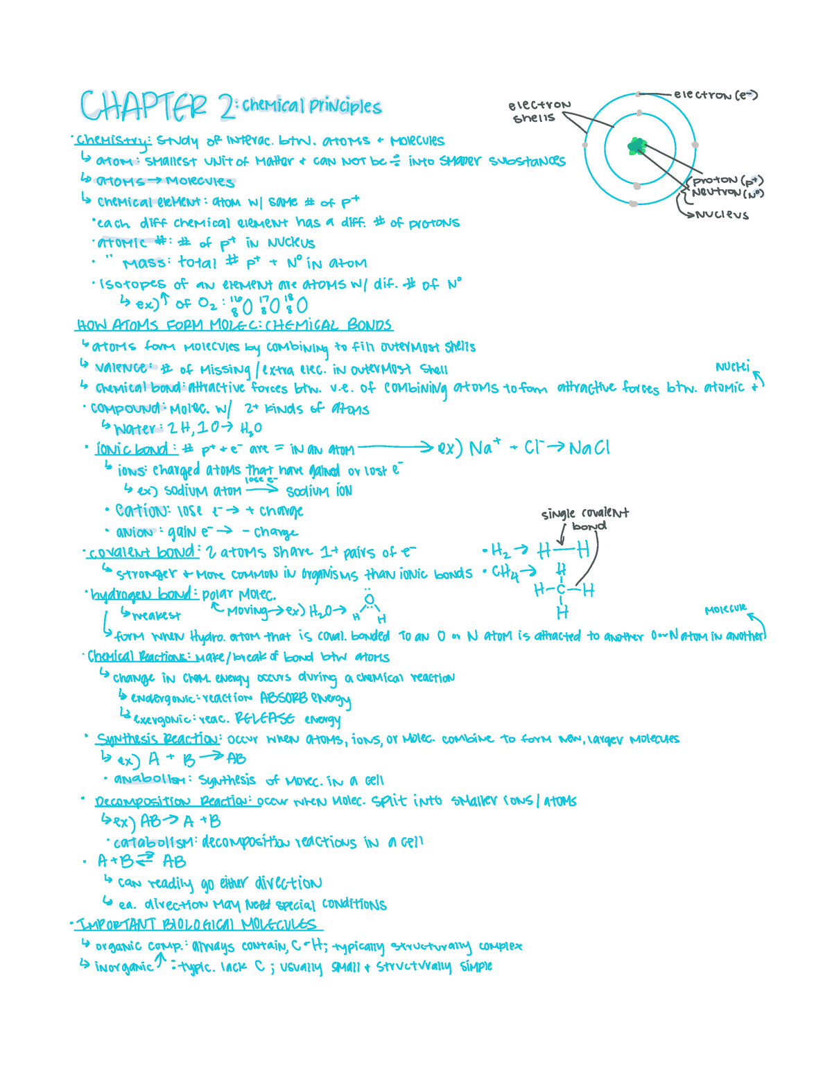 Chapter 2 Chemical Principles Biol 3040 Studocu