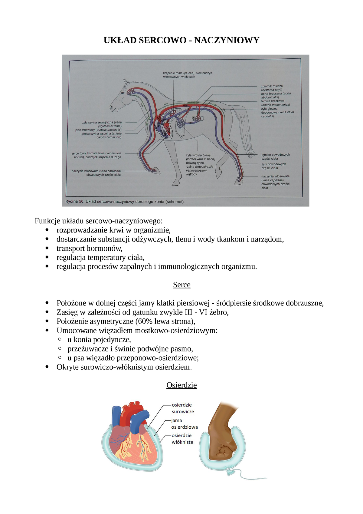 Anatomia Zwierząt ćwiczenia 3 UkŁad Sercowo Naczyniowy Funkcje