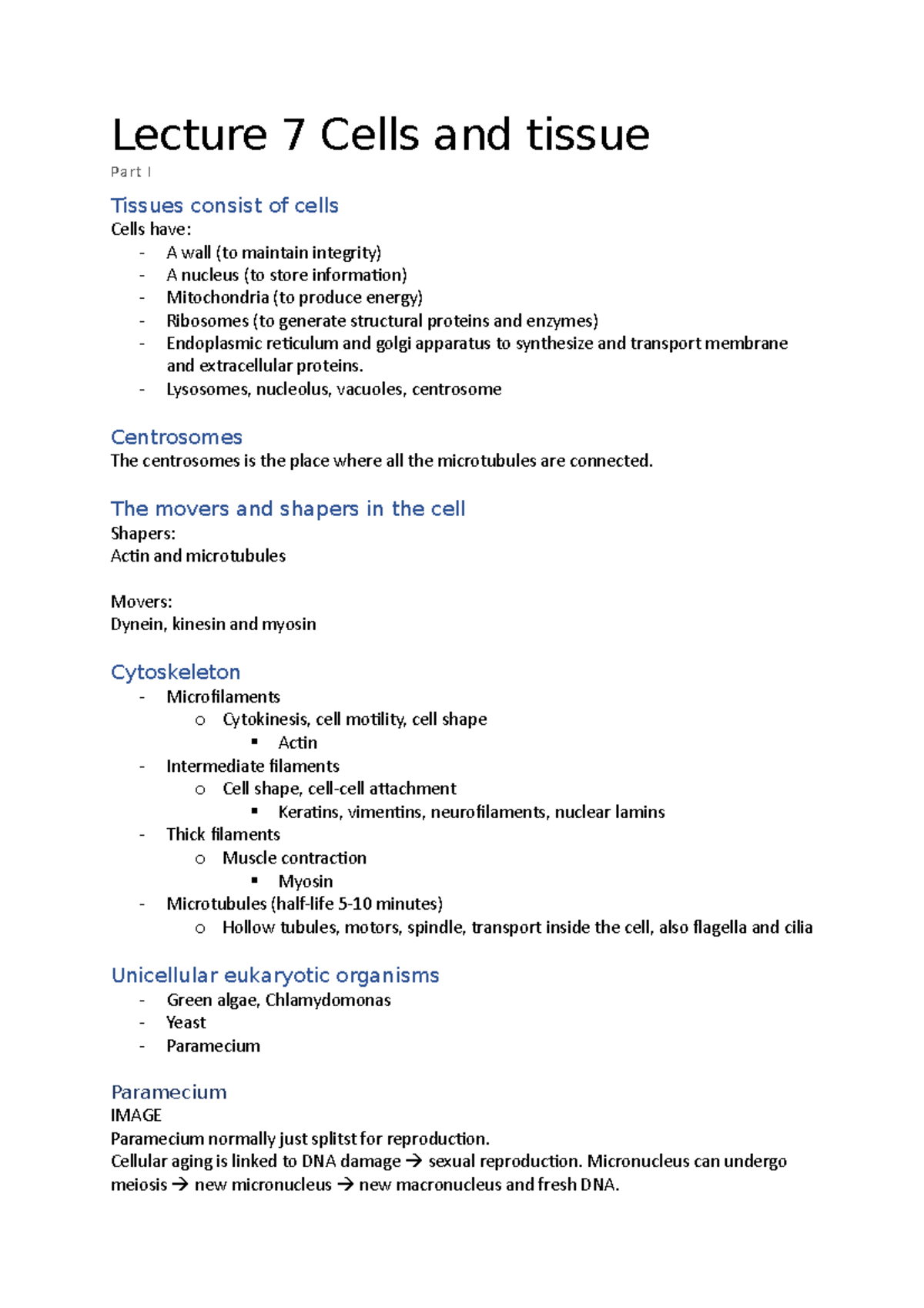 Lecture 7 Cells And Tissue Lecture 7 Cells And Tissue Part I Tissues