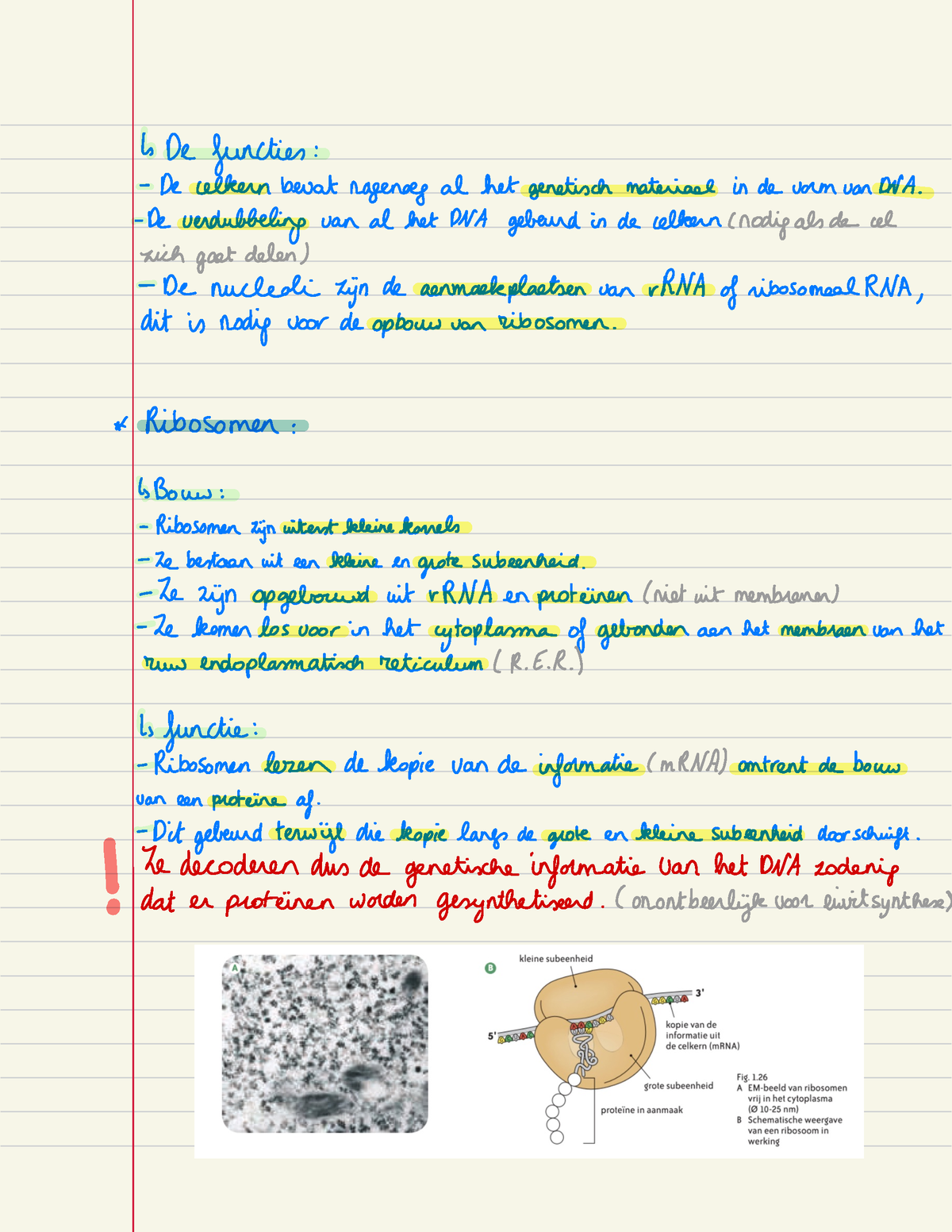 Biologie Pg 7 Samenvatting Pg 7 Thema 1 Cursus Biogenie 52