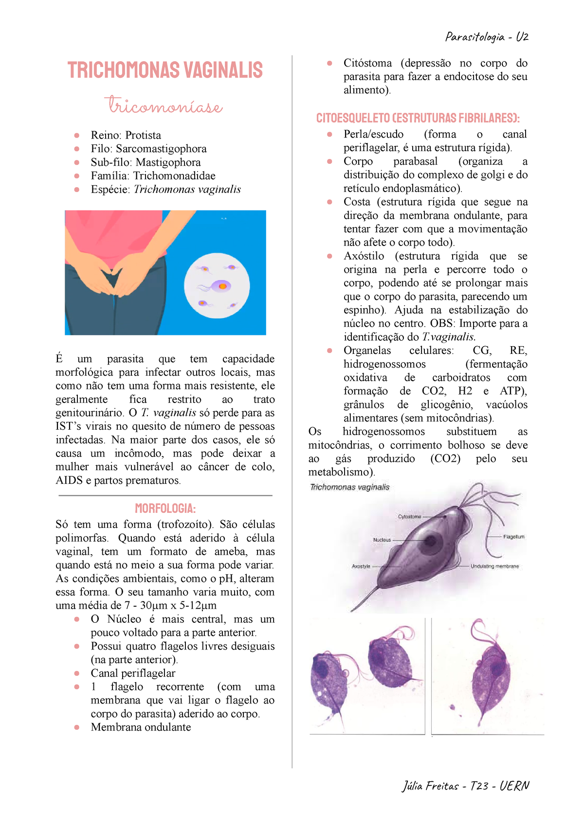 Trichomonas Vaginalis Parasitologia Médica Uern Studocu