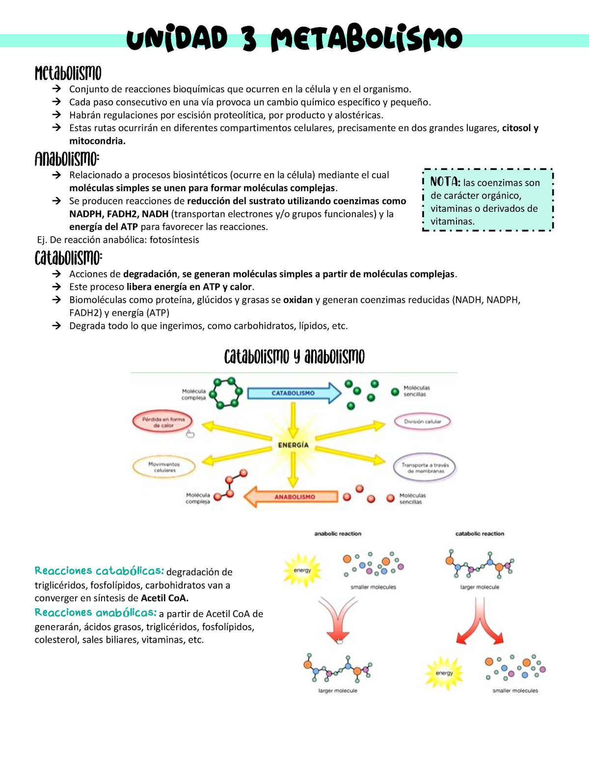 Bioquímica Unidad 3 Warning Tt Undefined Function 32 Warning Tt