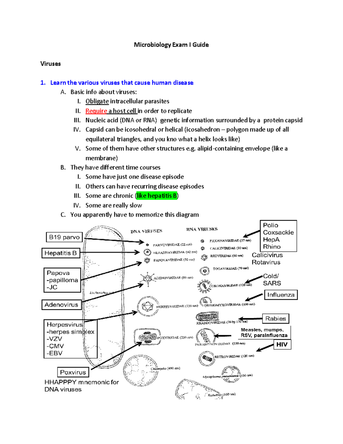 Microbiology Exam I Guide Microbiology Exam I Guide Viruses Learn The