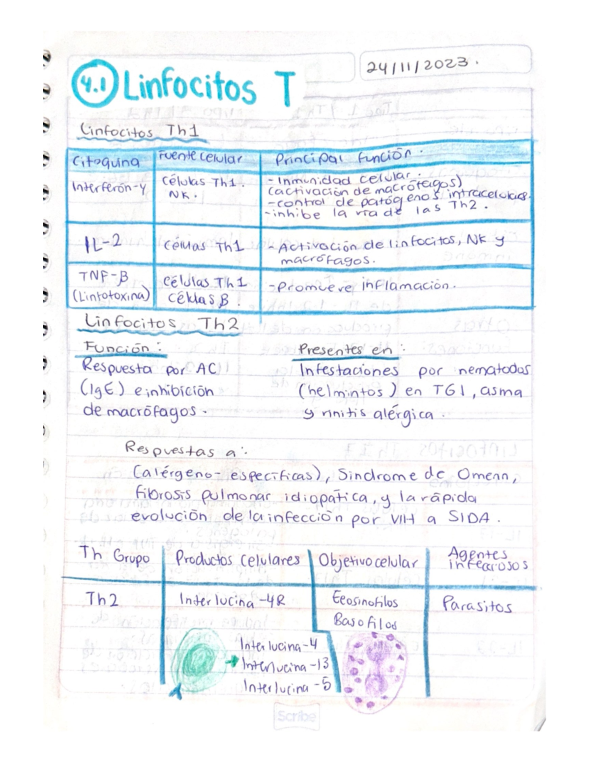 Resumenes 4to Parcial Resumen Inmunología Studocu