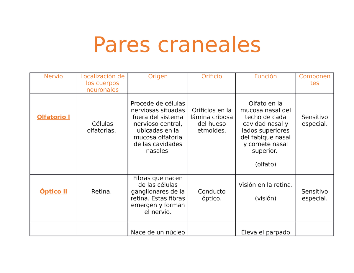 Cuadro De Pares Craneales Pares Craneales Nervio Localización De Los