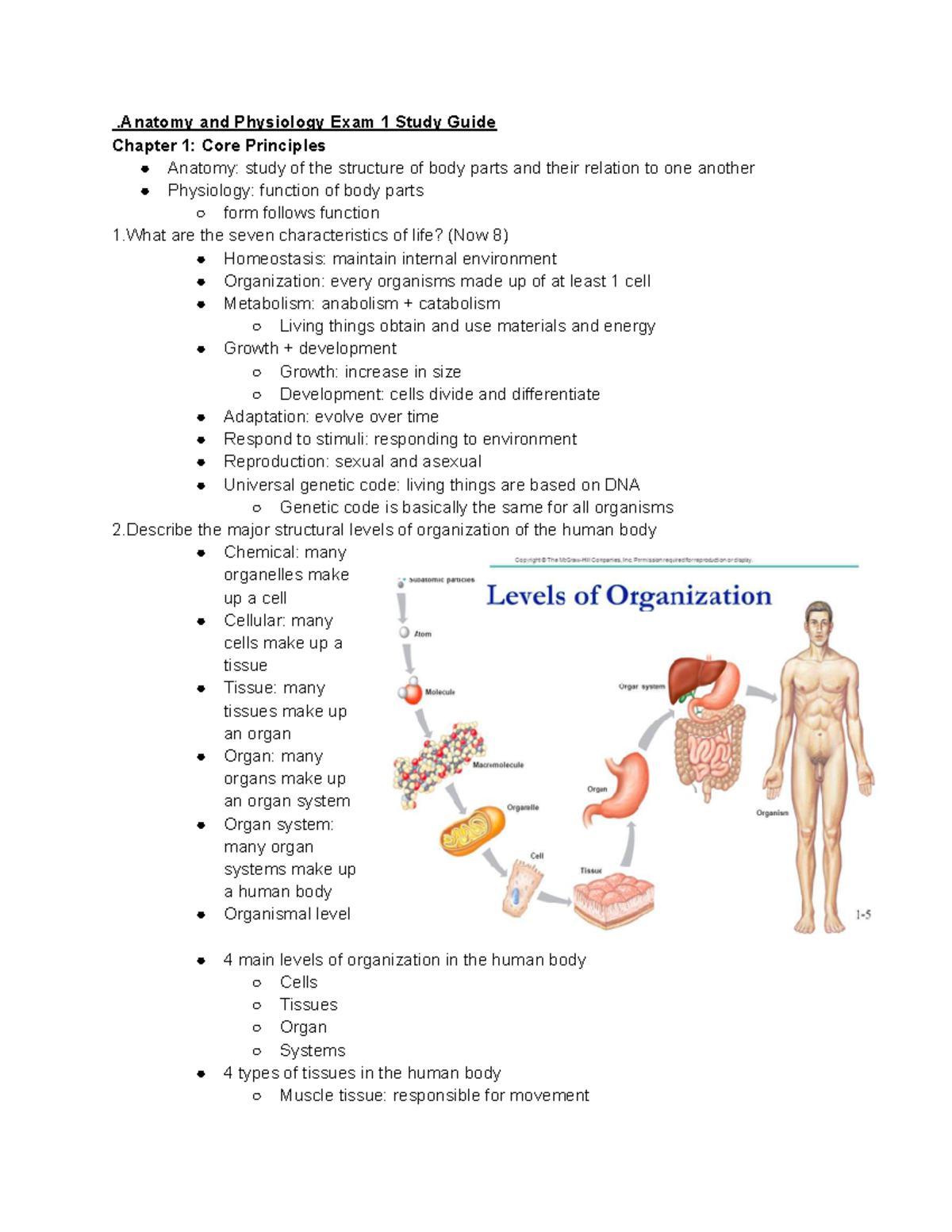 Anatomy And Physiology Exam 1 Study Guide Anatomy And Physiology Exam