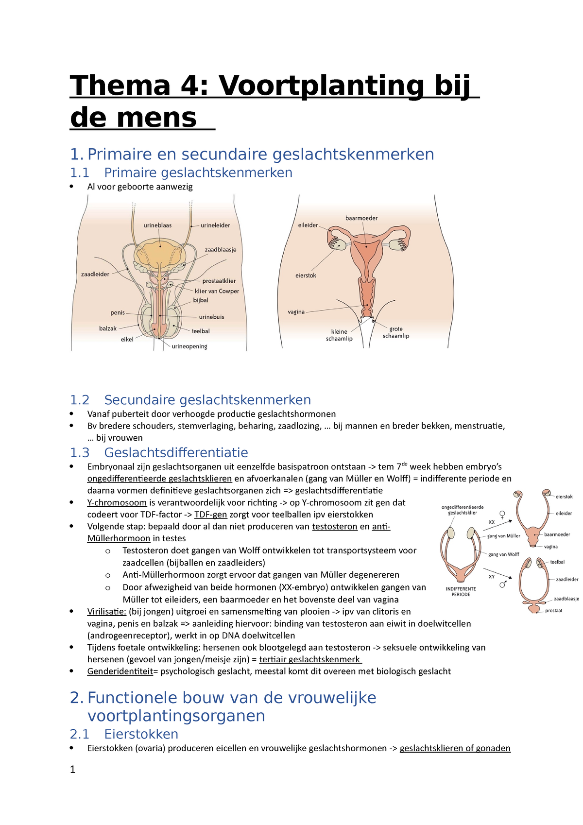 Biologie Thema 3 4 Thema 4 Voortplanting Bij De Mens 1 Primaire En