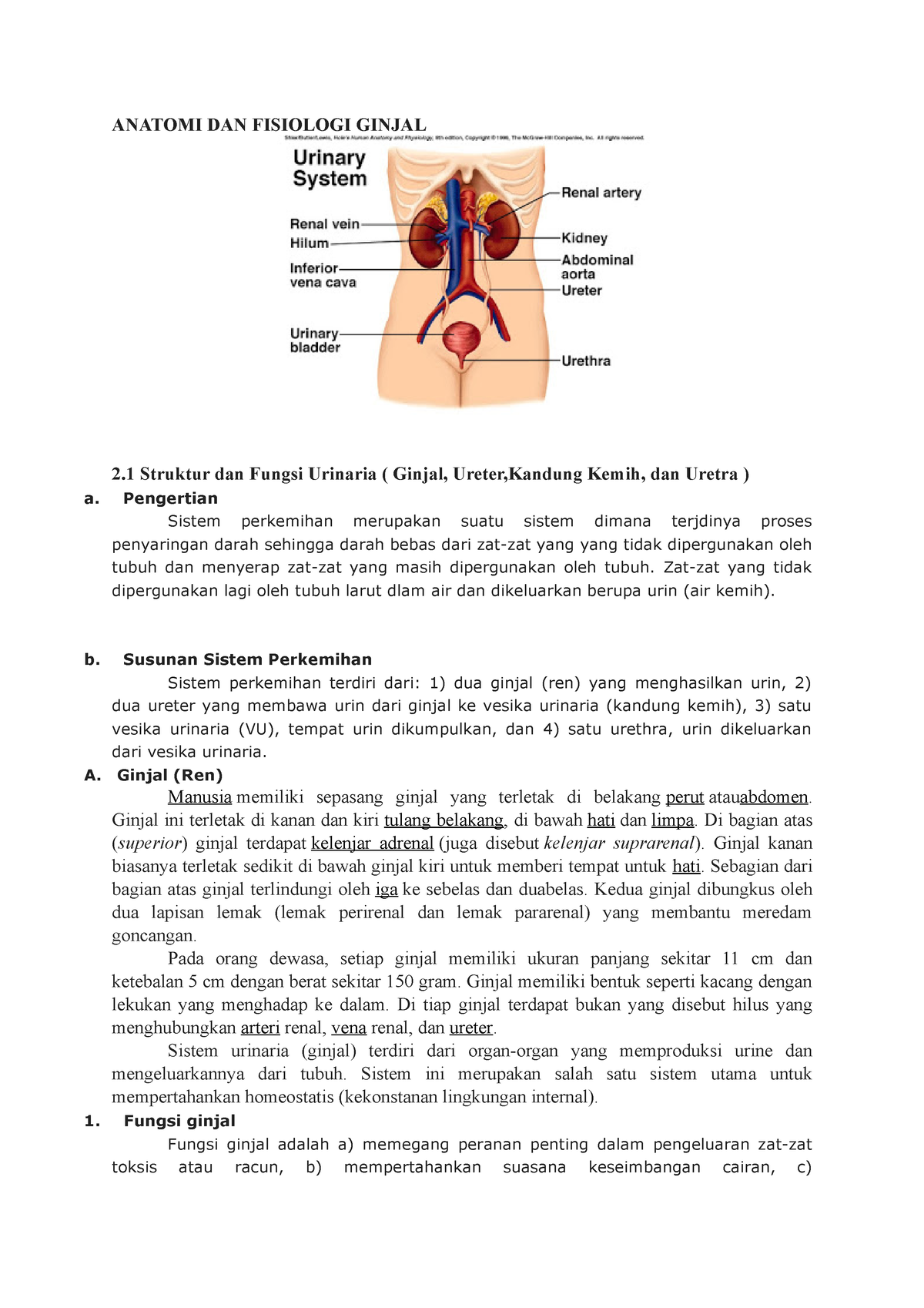 Anatomi Dan Fisiologi Ginjal Anatomi Dan Fisiologi Ginjal 2 Struktur