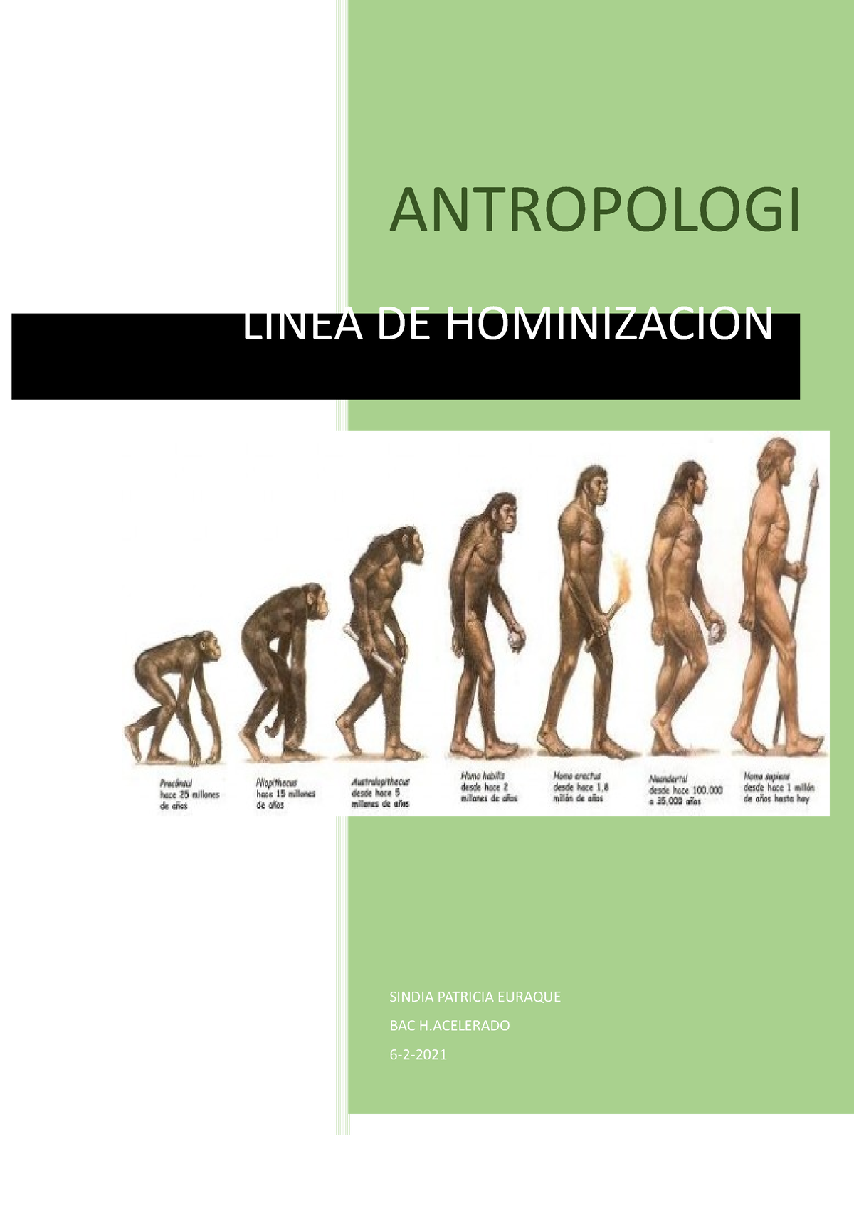 Etapas Del Proceso De Hominizacion Del Hombre Antropologi Sindia