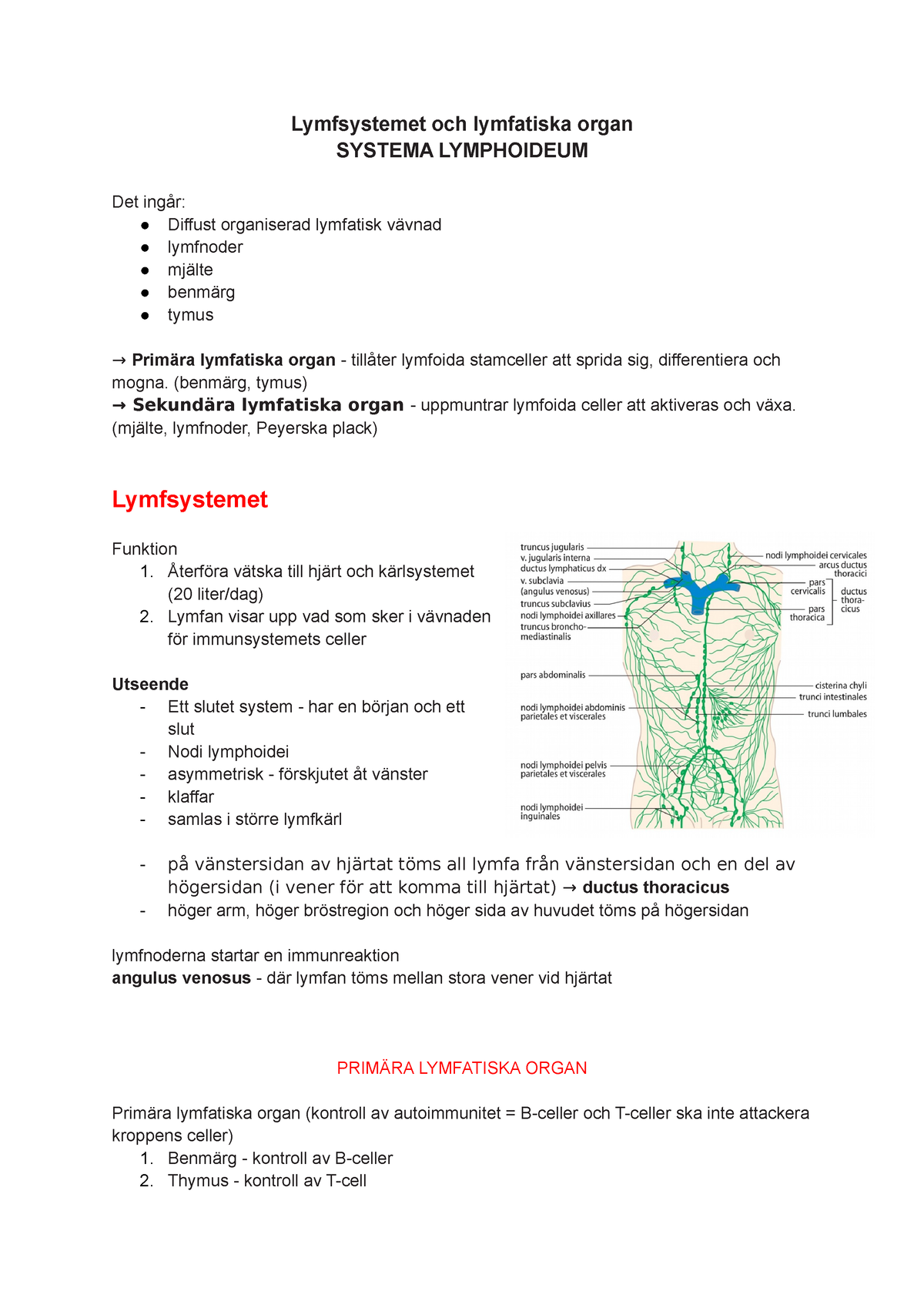 Lymfsystemet Och Lymfatiska Organ Lymfsystemet Och Lymfatiska Organ