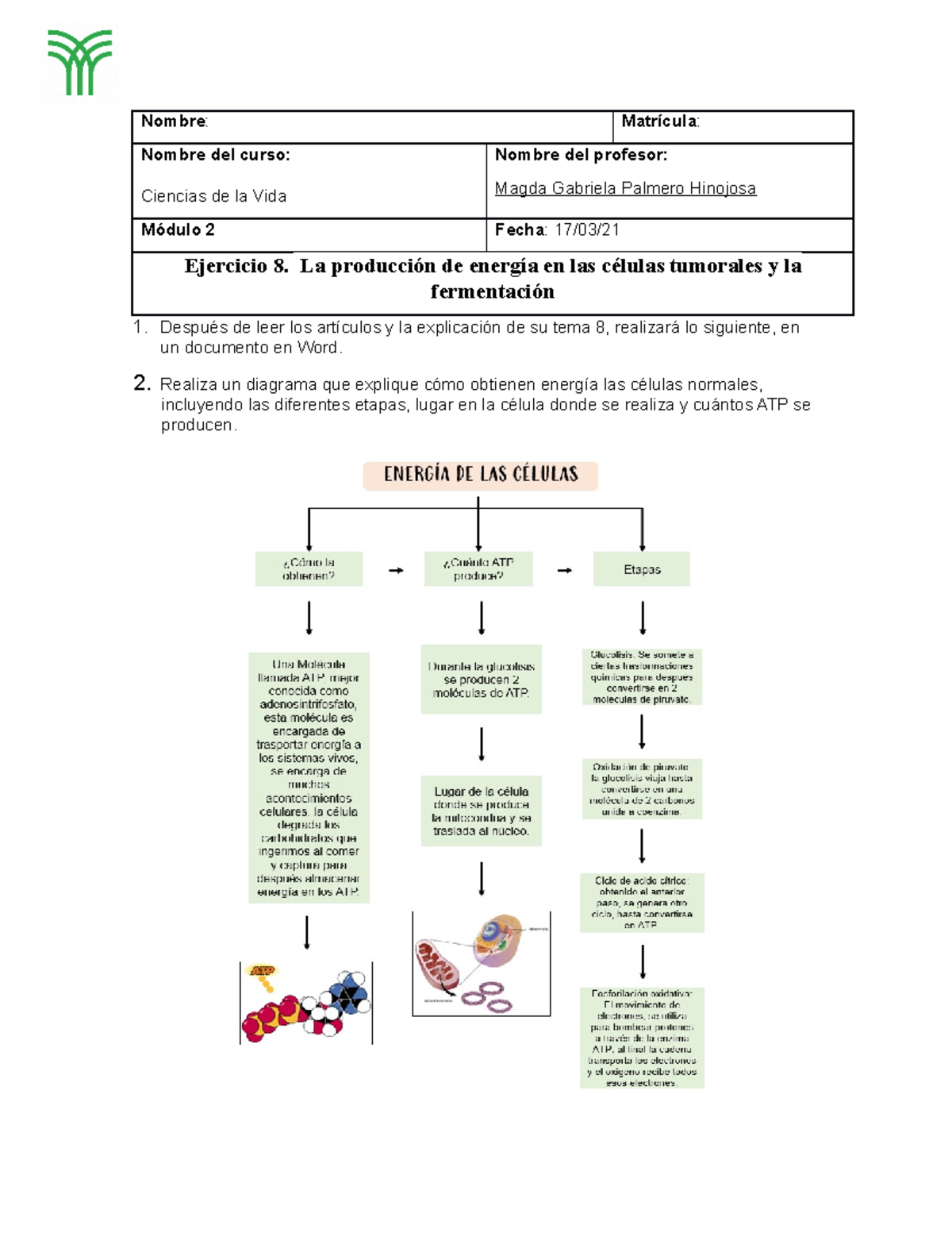 Ejercicio 8 Documento Nombre Matrícula Nombre Del Curso