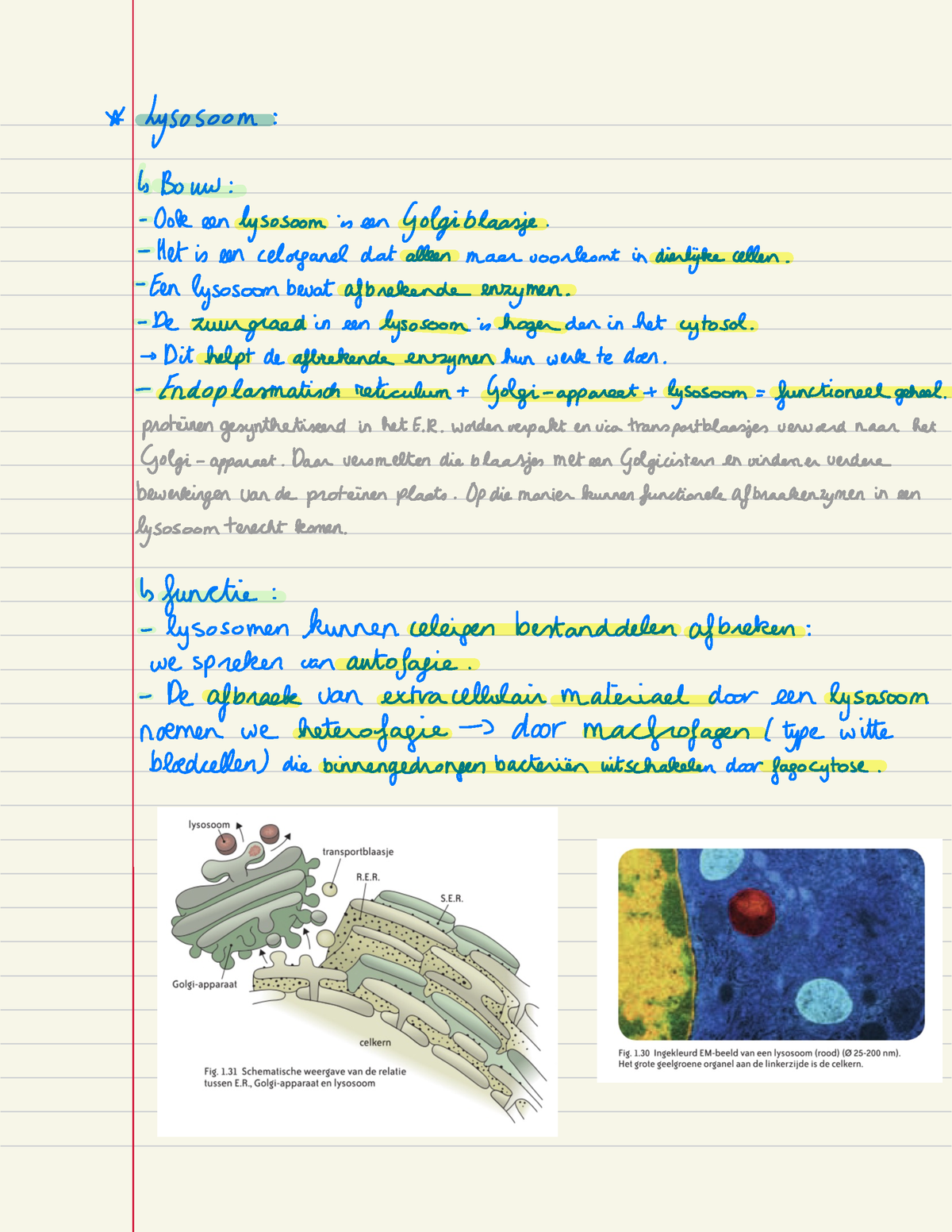 Biologie Pg 10 Samenvatting Pg 10 Thema 1 Cursus Biogenie 52