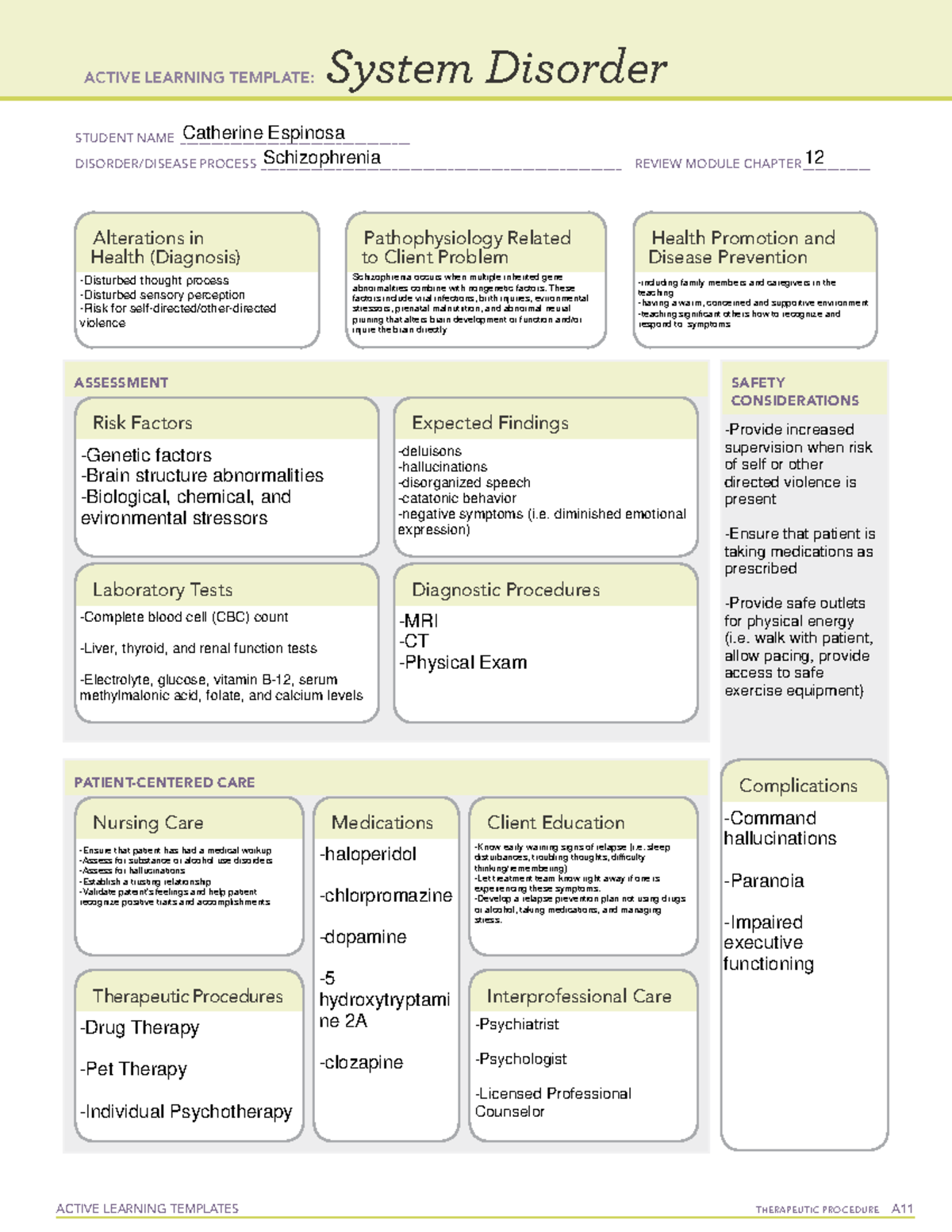 System Disorder Active Learning Template