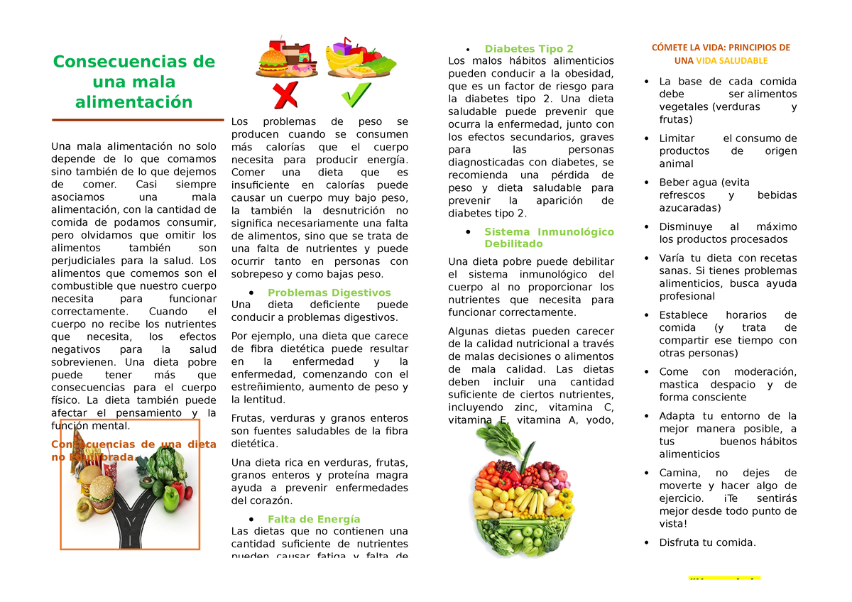 Folleto De Alimentos Saludables Consecuencias De Una Mala