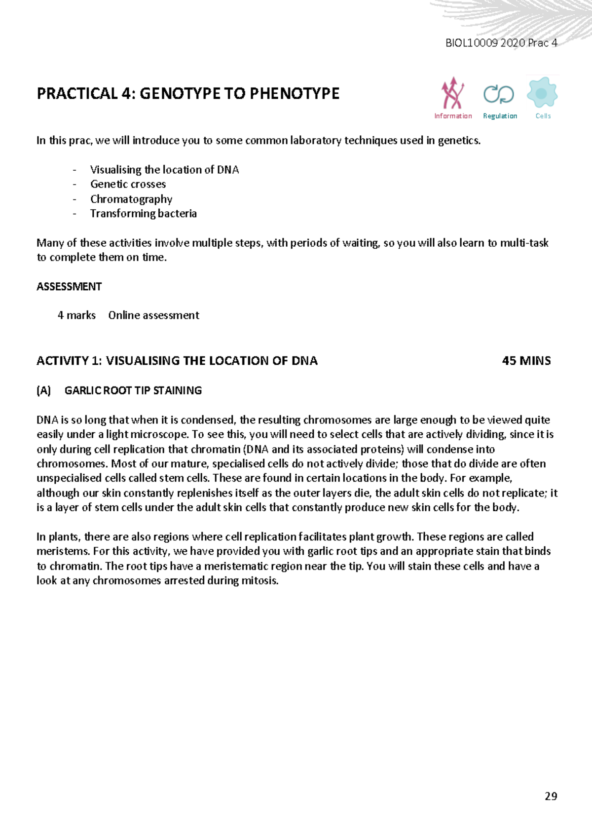 Biol10009 Practical Manual 2020 Prac 4 Student Practical 4 Genotype