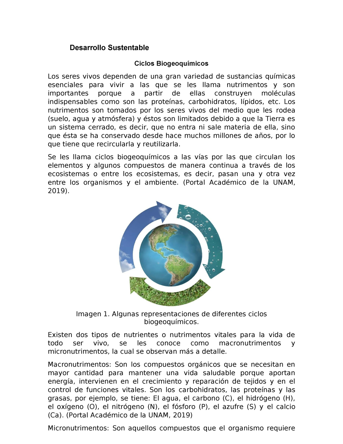 Ciclos Biogeoquímicos Ok Desarrollo Sustentable Ciclos Biogeoquímicos