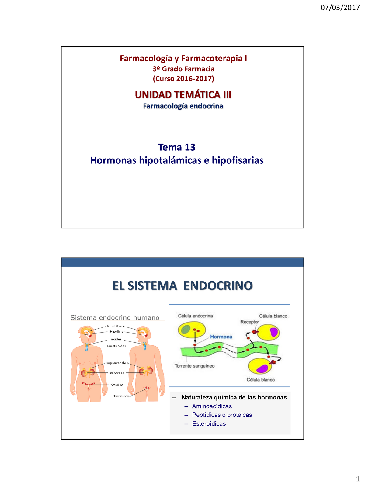 Tema 13 Hormonas HipotÁlamicas E Hipofisarias 07032017