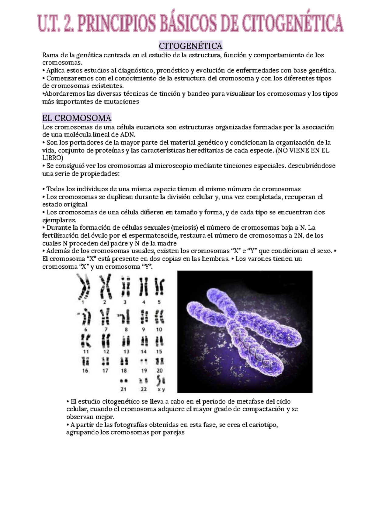 Biologia Molecular CitogenÉtica Rama De La Genética Centrada En El