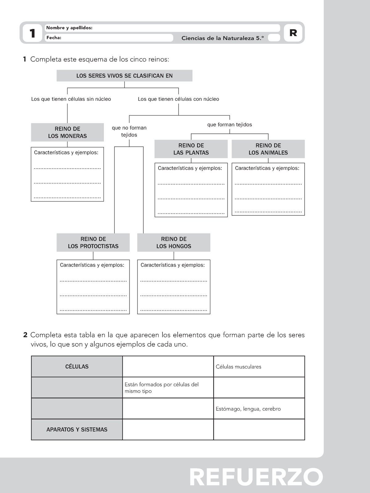 Repaso 01 Fichas De Refuerzo De Ciencias Naturales De 5 De Primaria