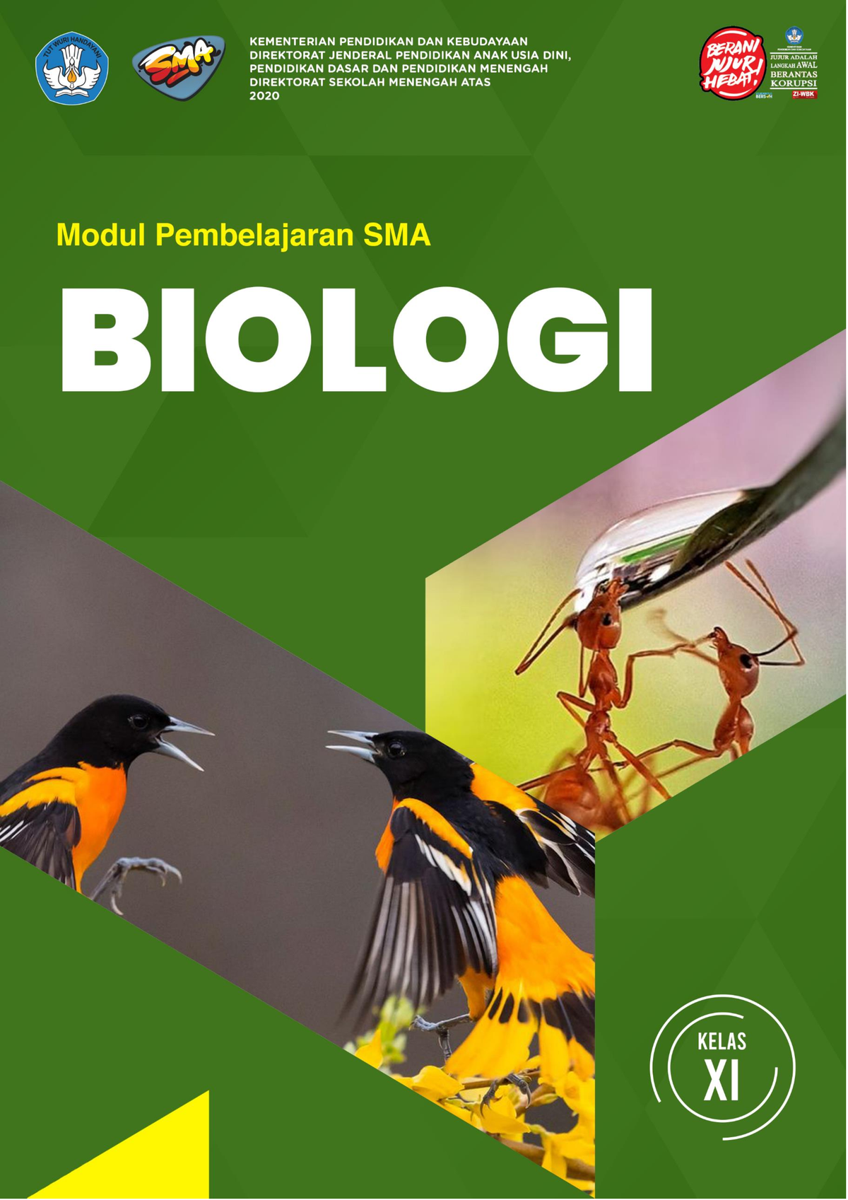 Modul Kelas Xi Biologi Kd 312 Sistem Reproduksi Biologi Kelas Xi