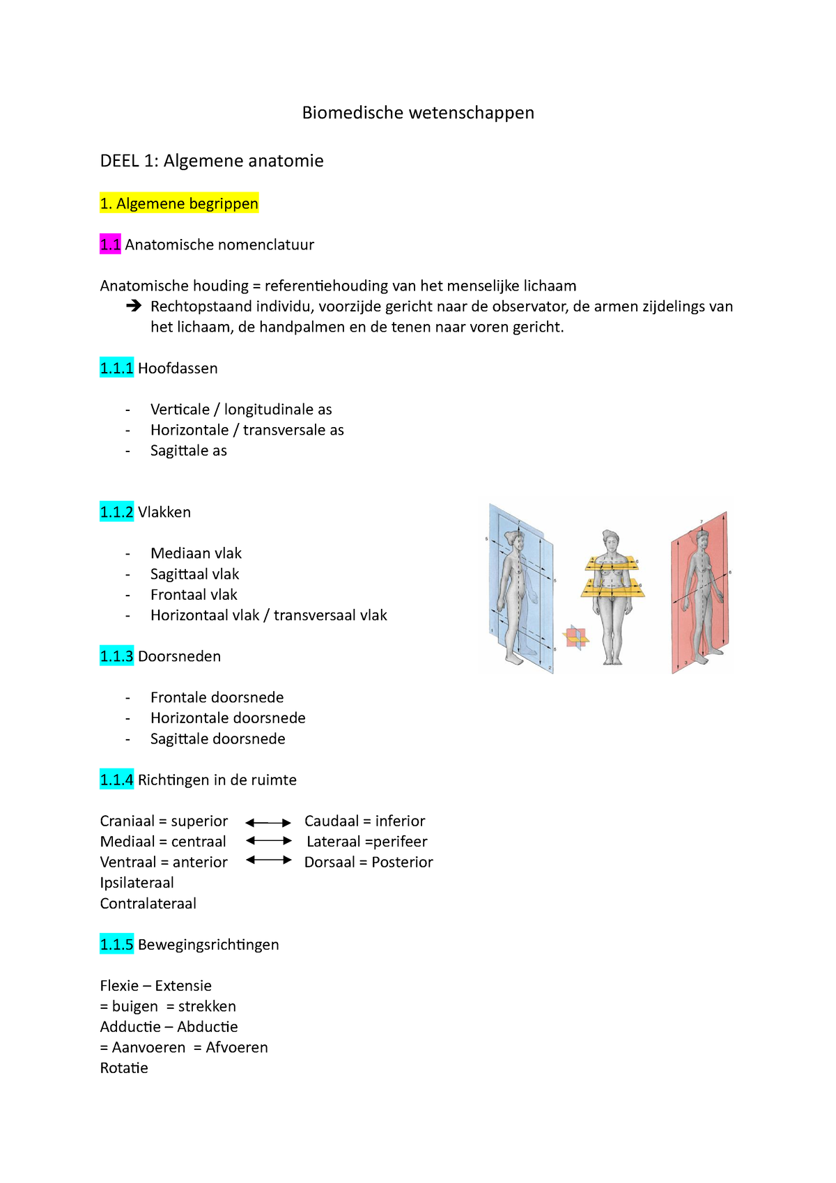 Algemene Anatomie Samenvatting Algemene Anatomie 1 In