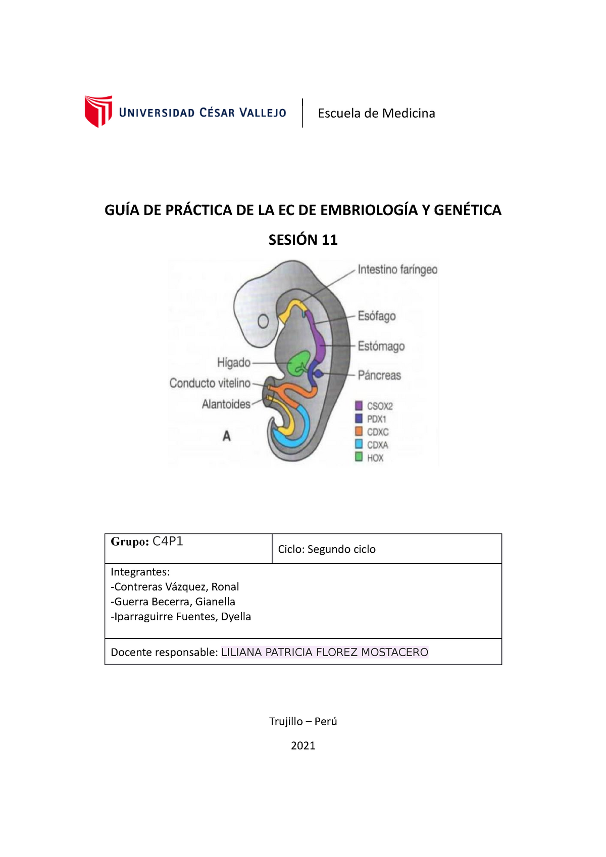 GuÍa Practica 11 Evaluacion De Emrbriologia Y Genetica Embriología Y