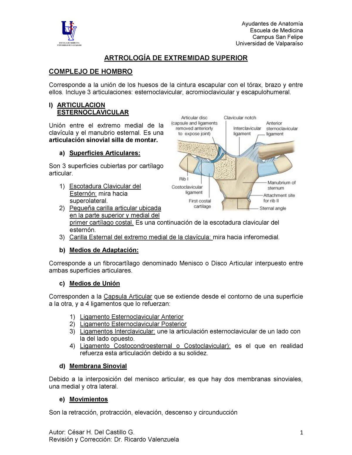 Apunte Artrología De Extremidad Superior Ayudantes De Anatomía