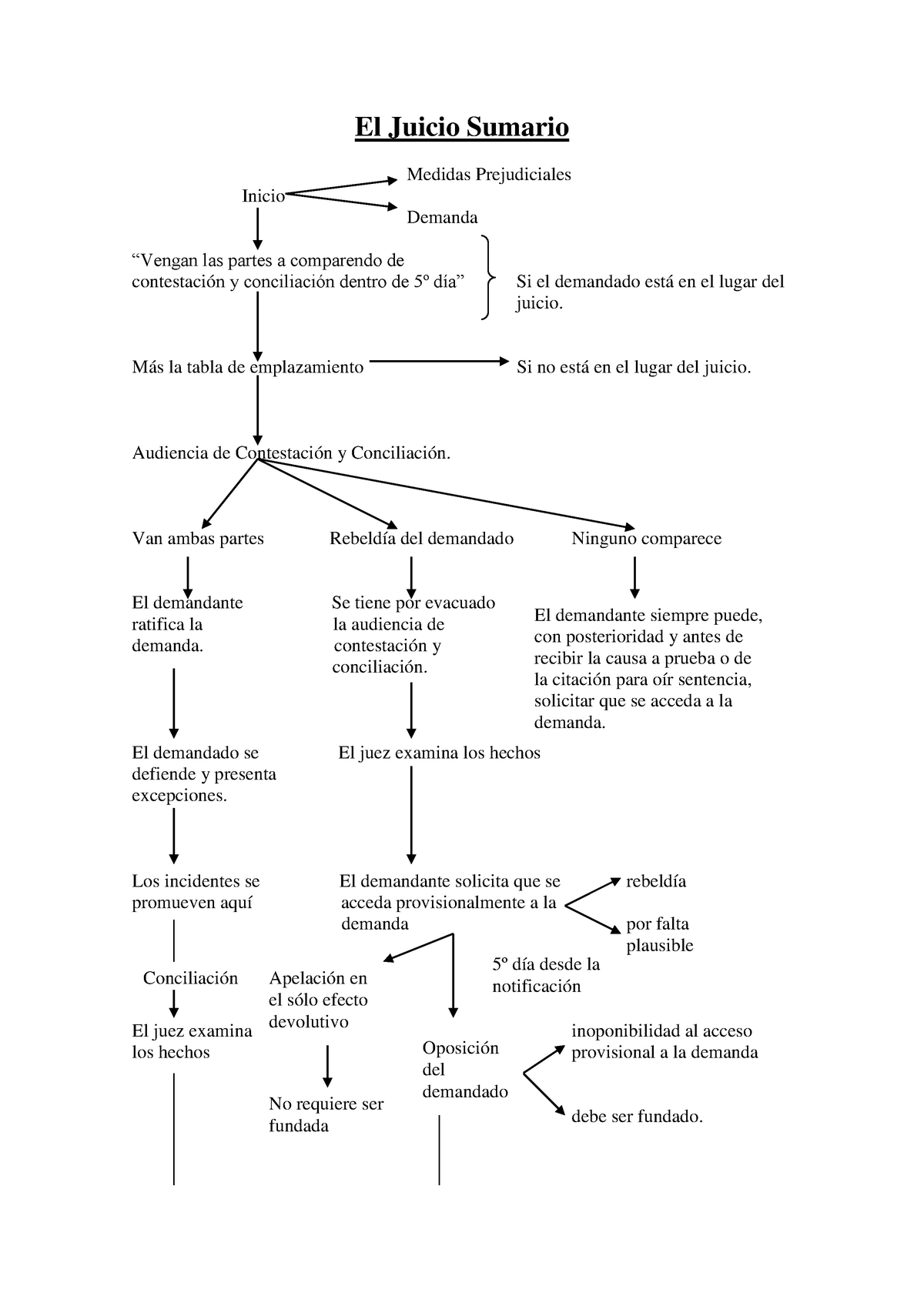 Esquema Juicio Sumario El Juicio Sumario Medidas Prejudiciales Inicio