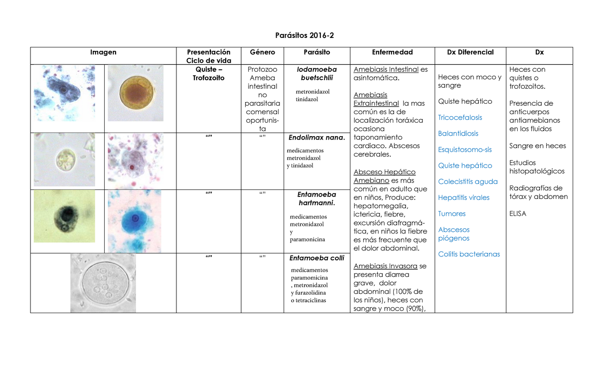 Cuadro Comparativo De Parasitos Cuadro Comparativo De