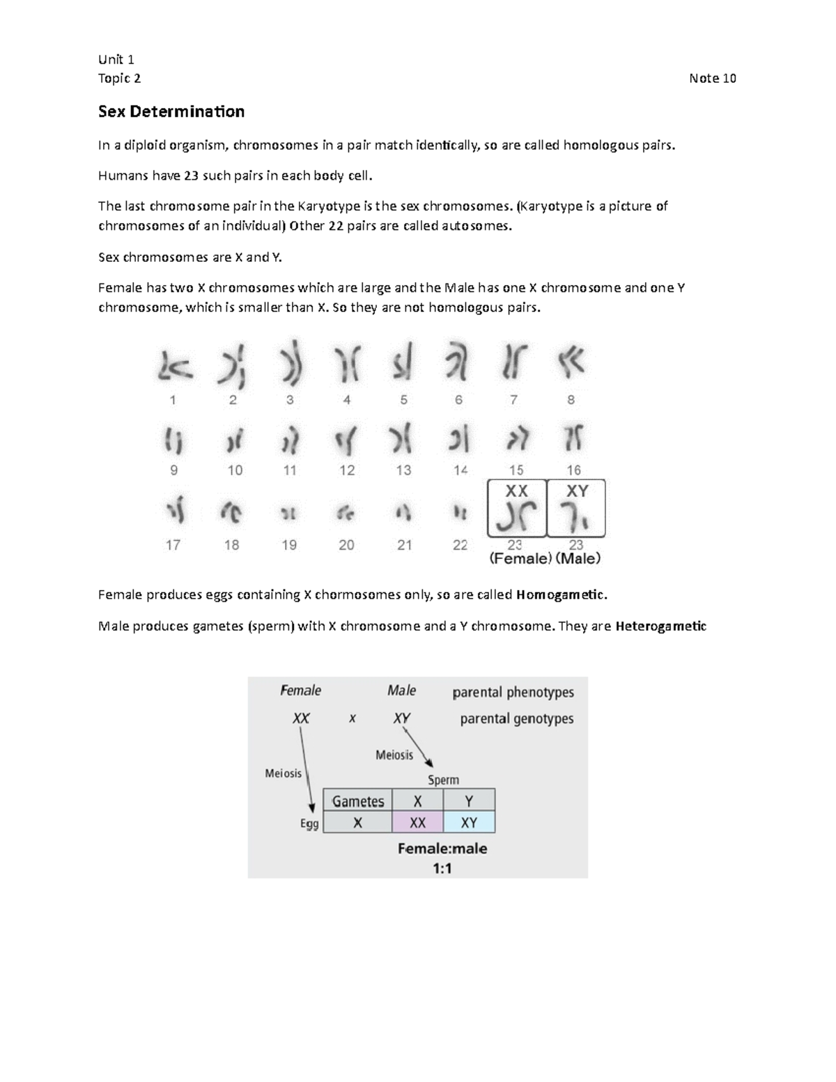 Sex Determination Alevel Biology Notes Topic 2 Note 10 Sex