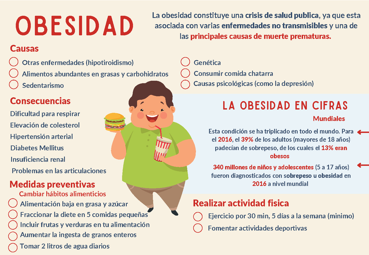 Infografia Obesidad Causas Consecuencias Medidas Preventivas La