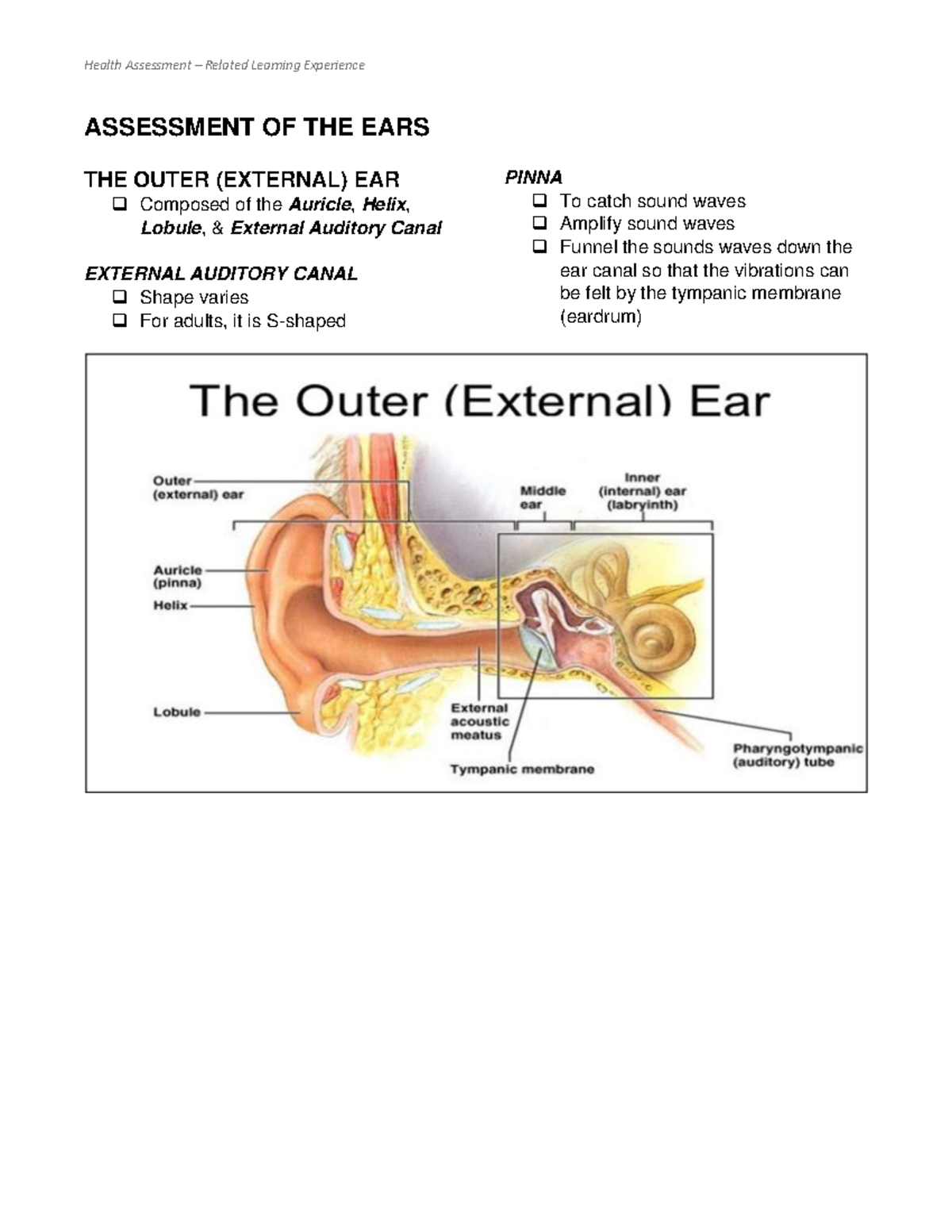 Ears Assessment Ears Assessment Assessment Of The Ears The Outer