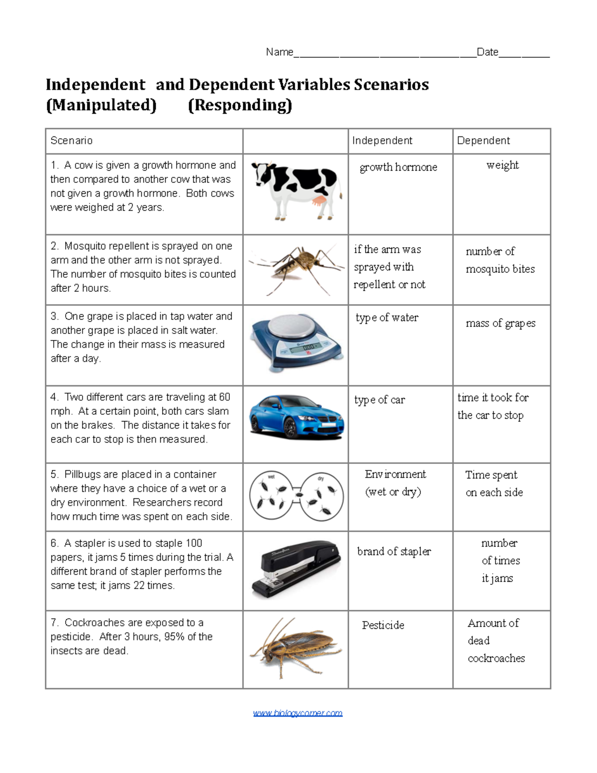 Dependent And Independent Variables Worksheet Englishworksheetmyid