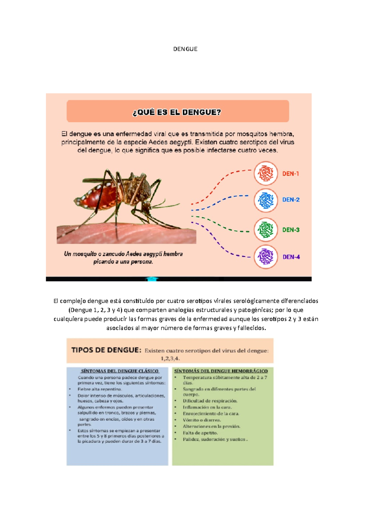 Dengue Dengue El Complejo Dengue Está Constituido Por Cuatro