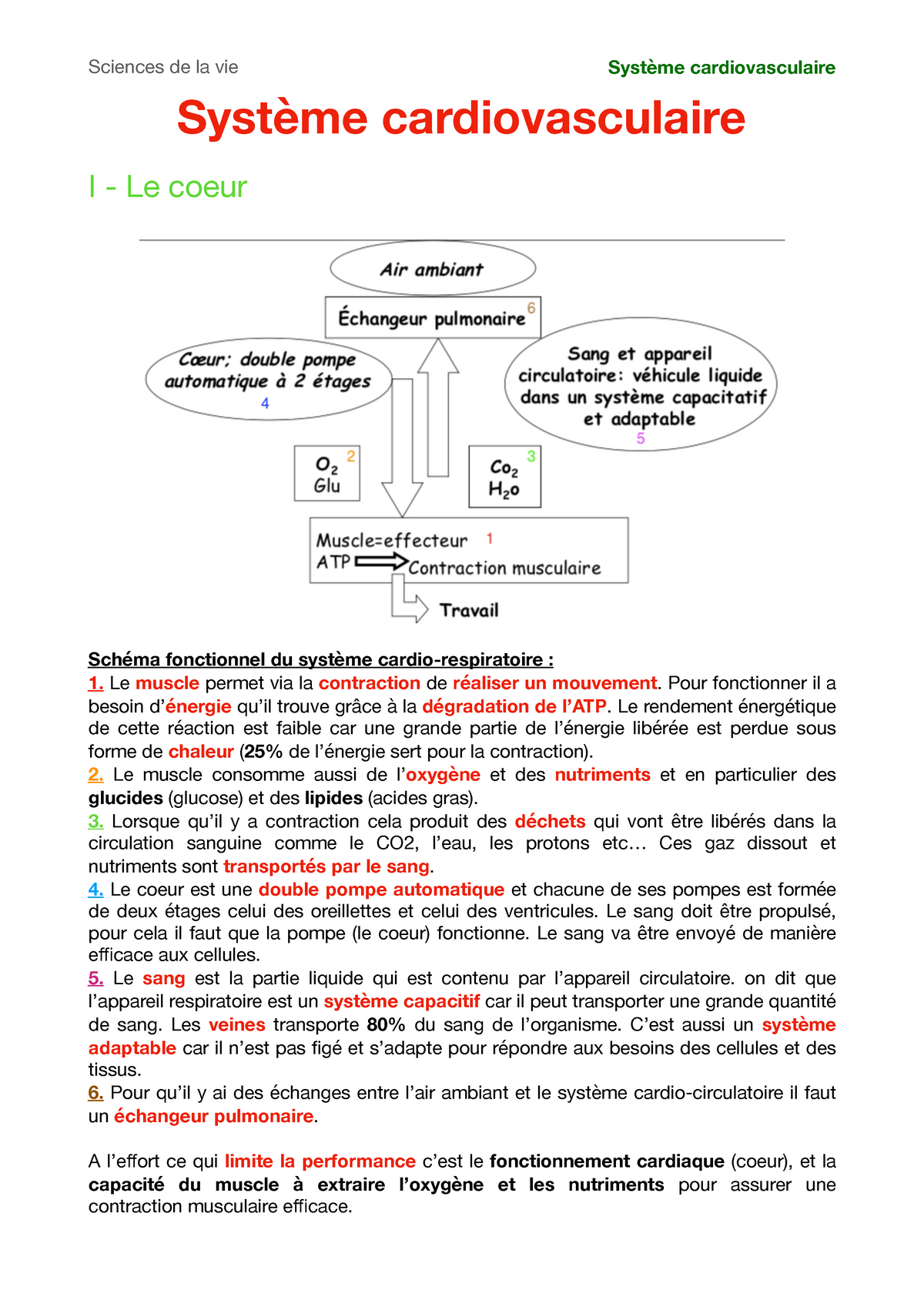 1 Le Système Cardiovasculaire Système Cardiovasculaire I Le Coeur