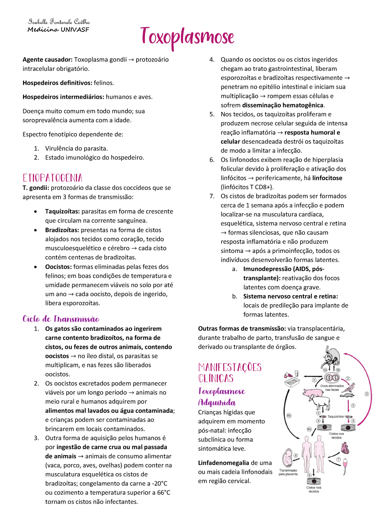 Resumo Sobre Toxoplasmose Parasitologia E Infectologia Toxoplasmose