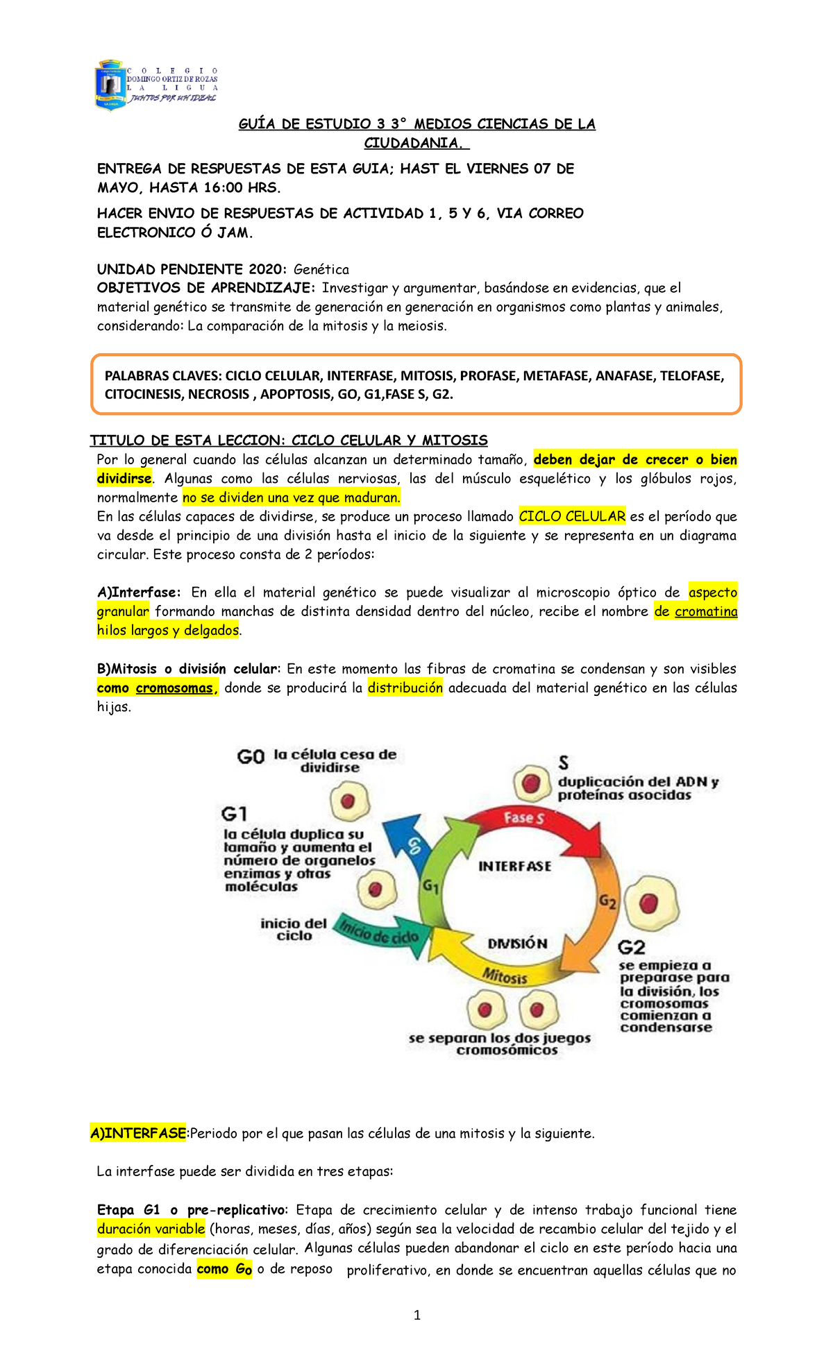 2 Biología Guía 2 Ciclo Celular Y Mitosis GuÍa De Estudio 3 3° Medios