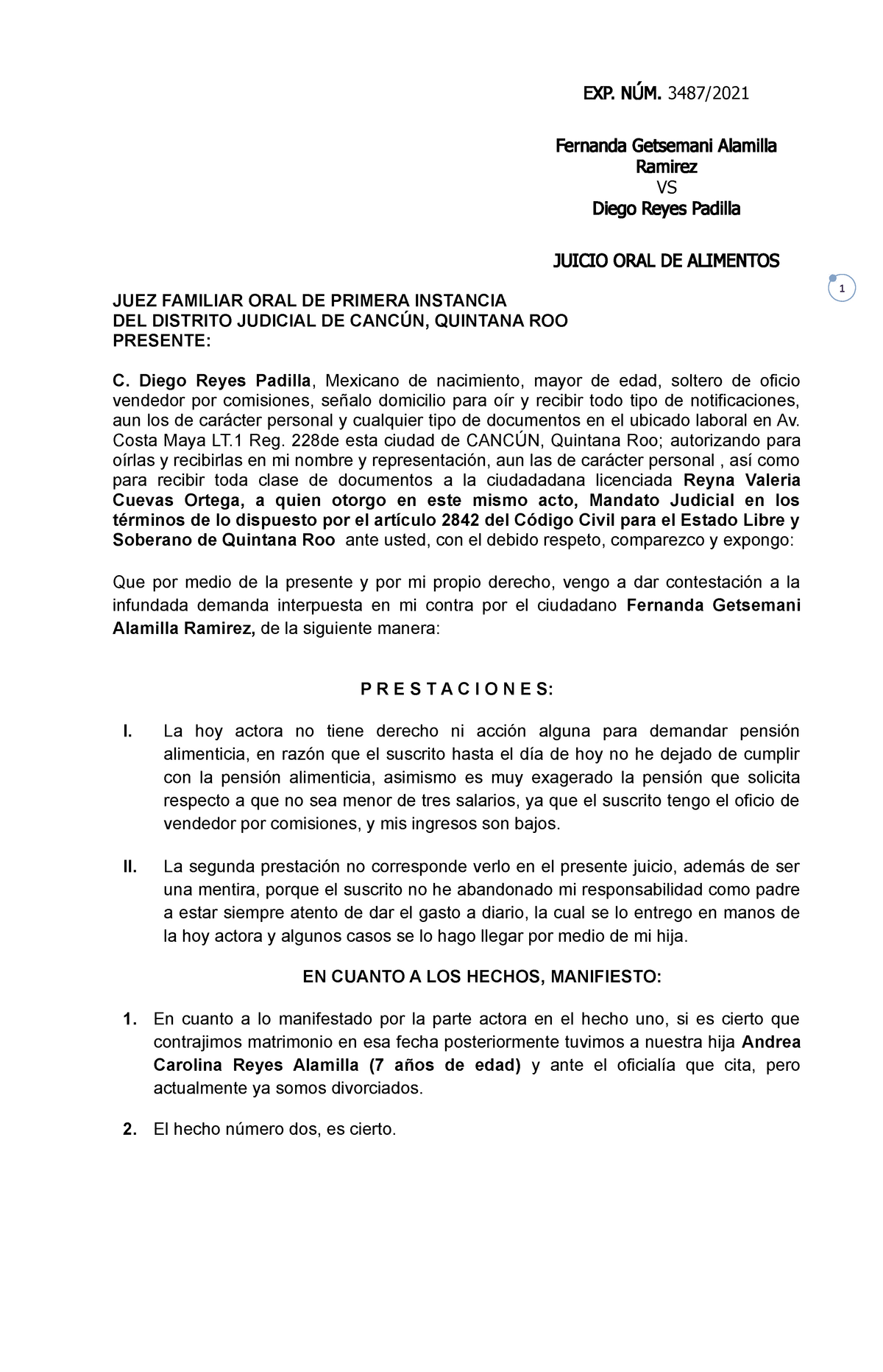 Modelo De Demanda De Ejecuci N De Acta De Conciliaci N De Alimentos By