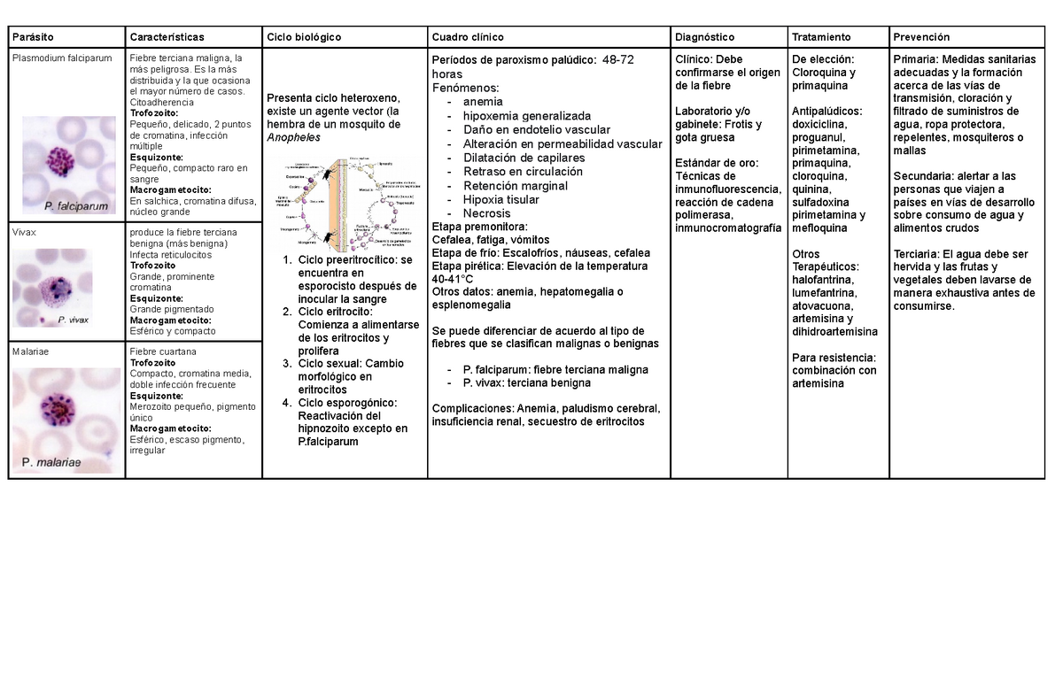 Parásitos Tabla Comparativa Laboratorio Parásito Características