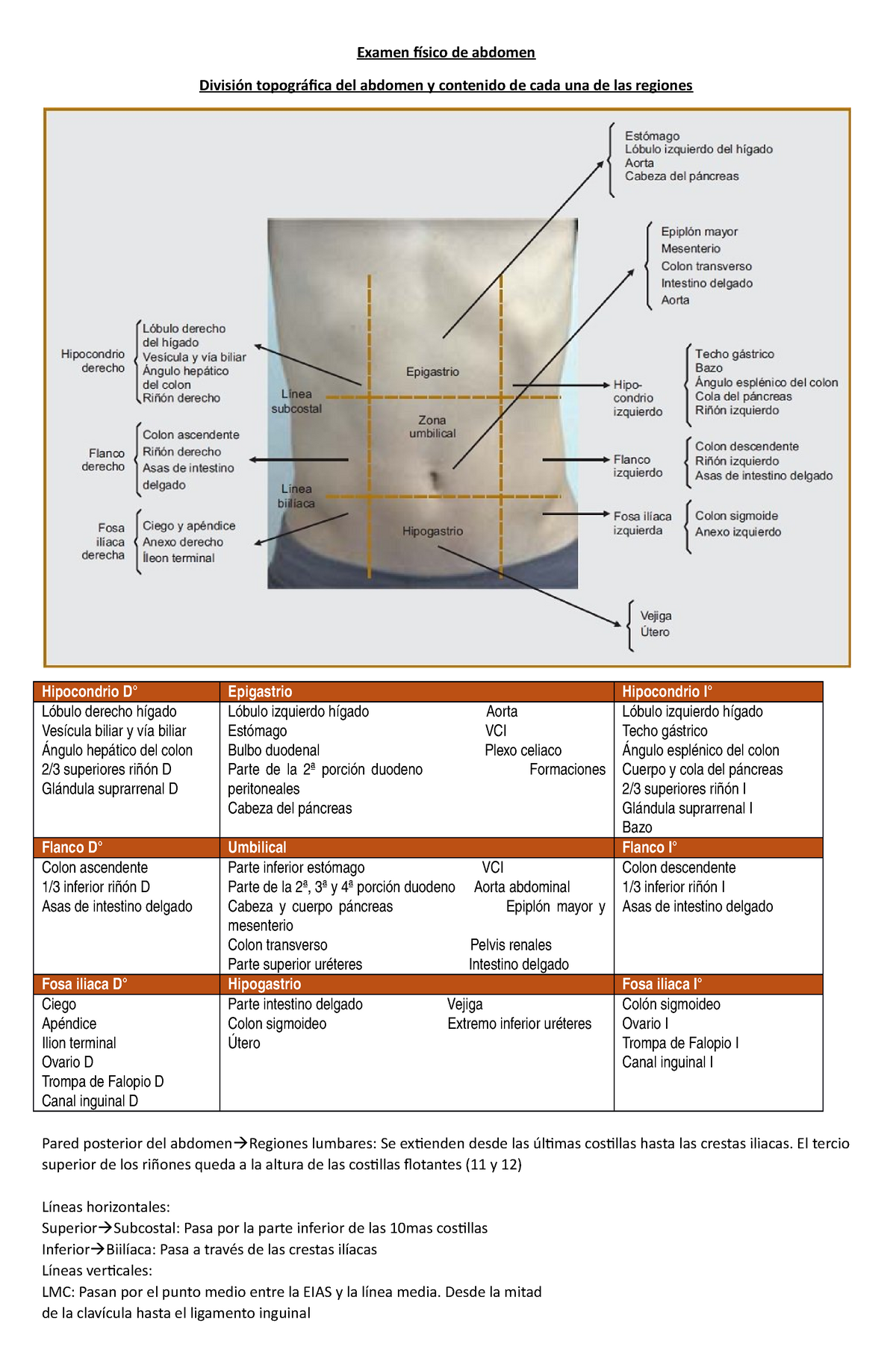 Examen Físico De Abdomen Examen De Abdomen Del Abdomen Y Contenido De