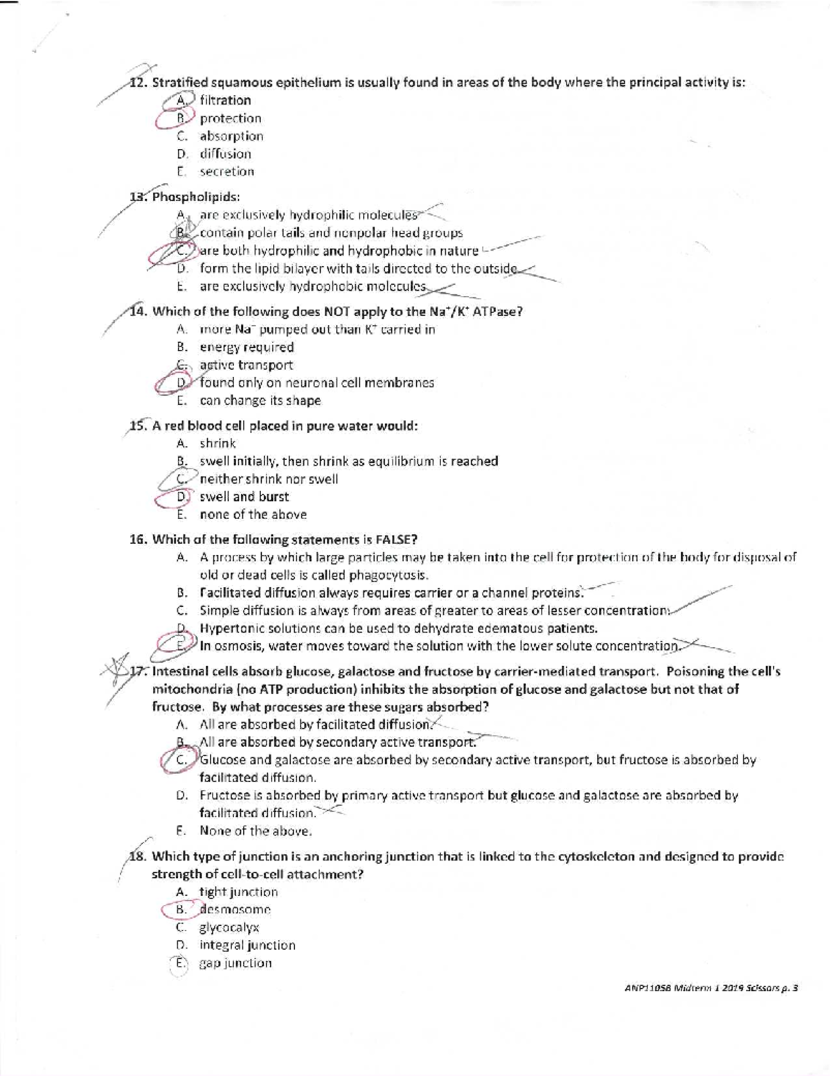 Anp1105 Multiple Choice Midterm 2 Scissors Anp1105 Studocu