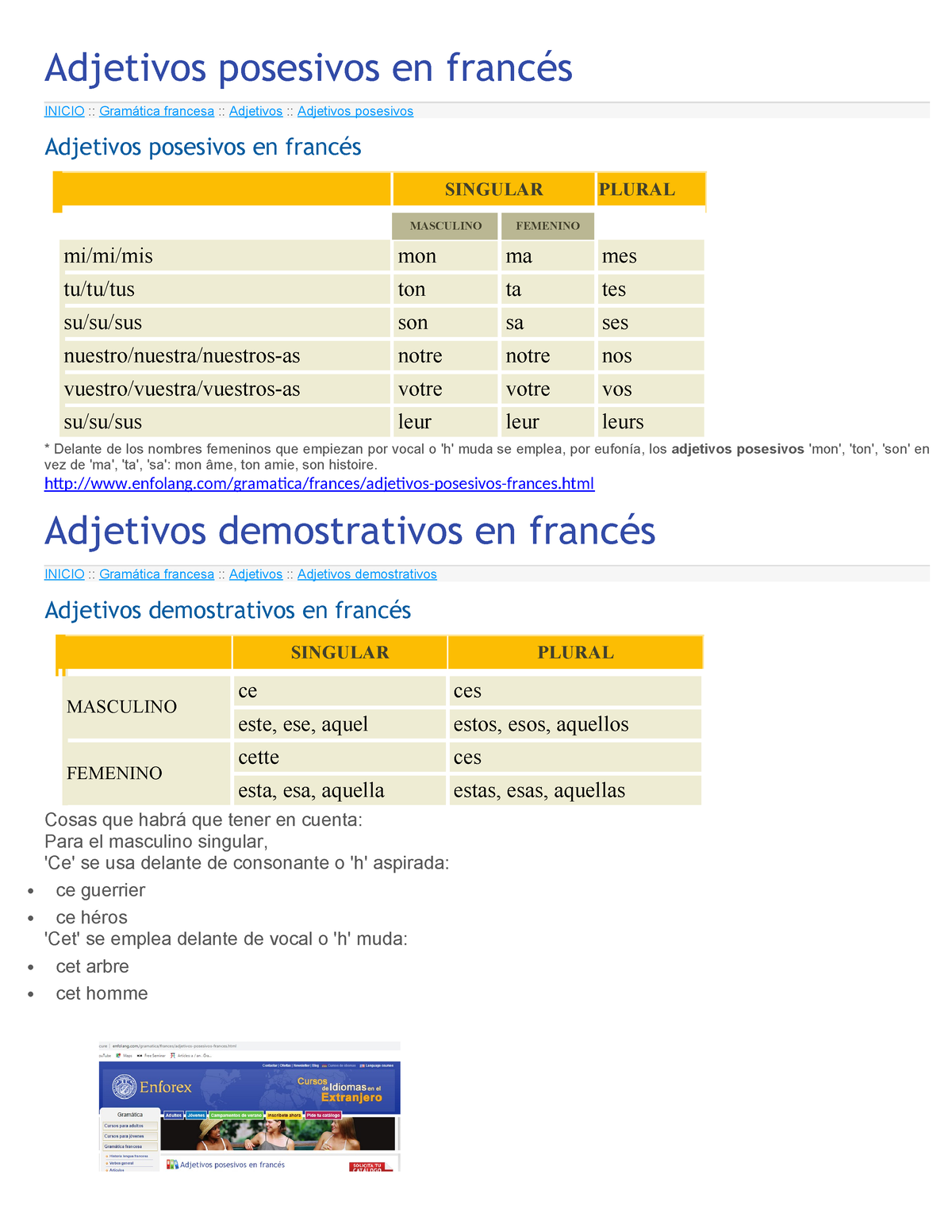 Adjetivos Posesivos En Francés Adjetivos Posesivos En Francés Inicio