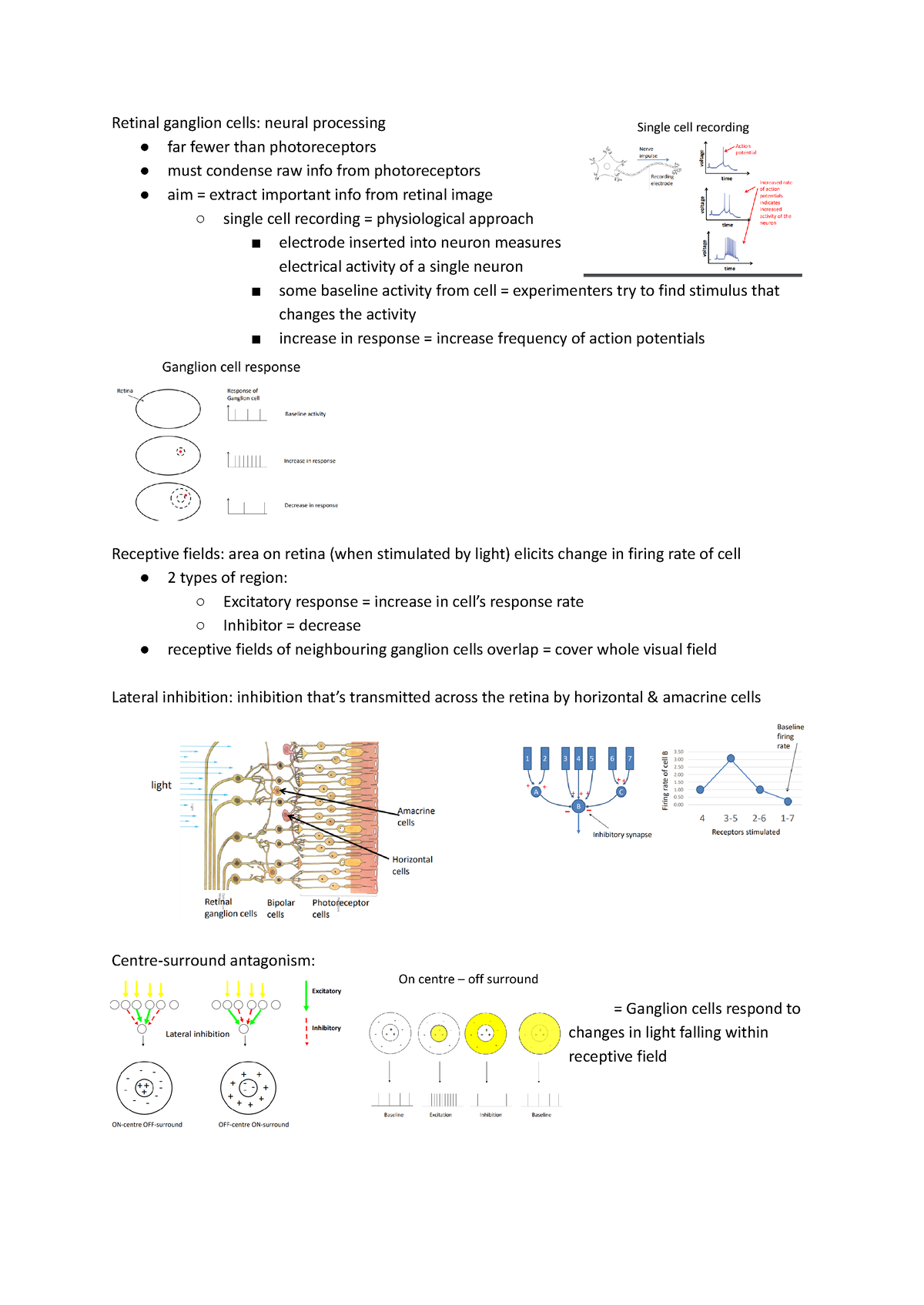 Lecture 3 Notes Retinal Ganglion Cells Neural Processing Far Fewer