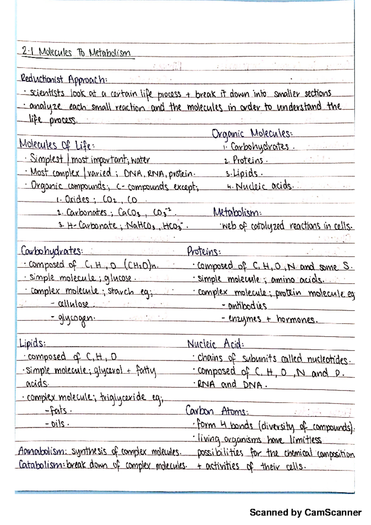 Ib Biology Hl Chapter 2 Condensed 2 Molecules To Metabolism