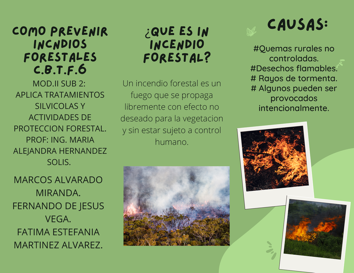 Incendios Causas ¿que Es In Incendio Forestal Quemas Rurales No