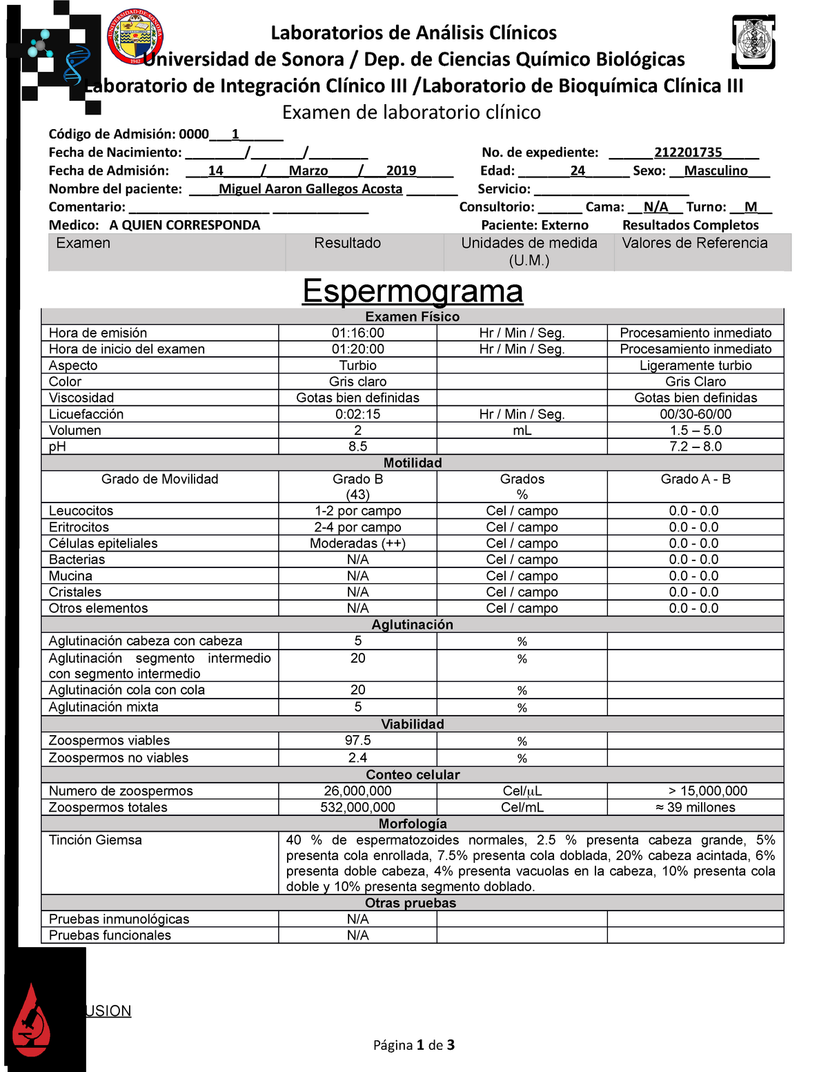 Formato Reportes De Laboratorio